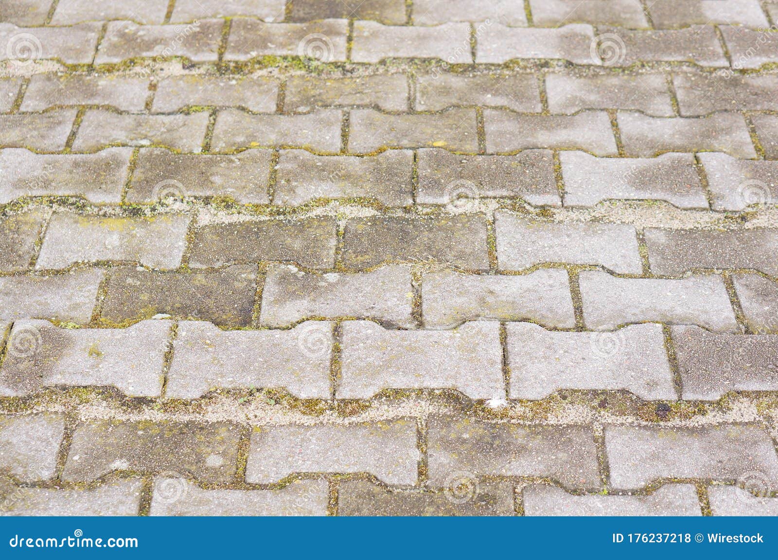 Old Cobblestone Pathway with Moss Growing Stock Photo - Image of ...