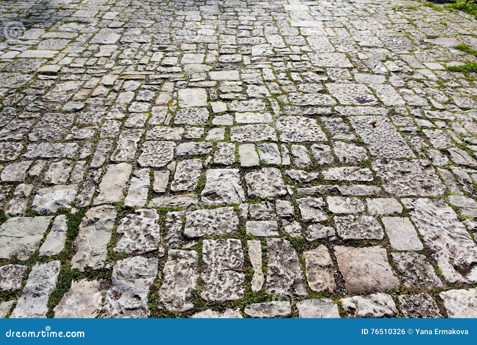 Old Cobblestone Pavement with Moss Stock Photo - Image of path, paving ...