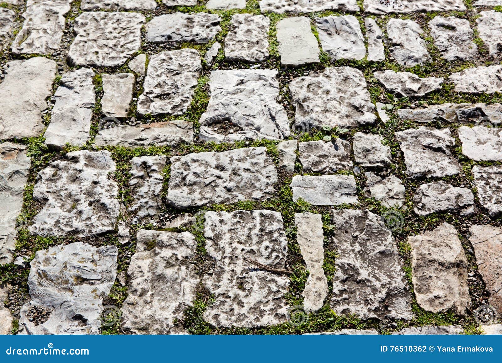 Old Cobblestone Pavement with Moss Stock Photo - Image of growing ...