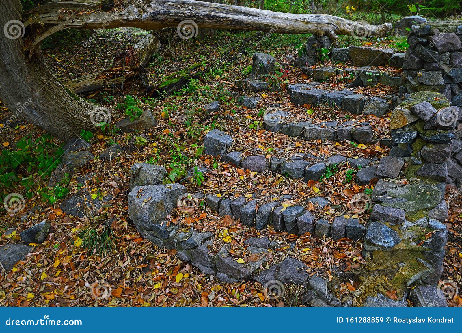 Old cobblestone stairs stock image. Image of exterior - 161288859