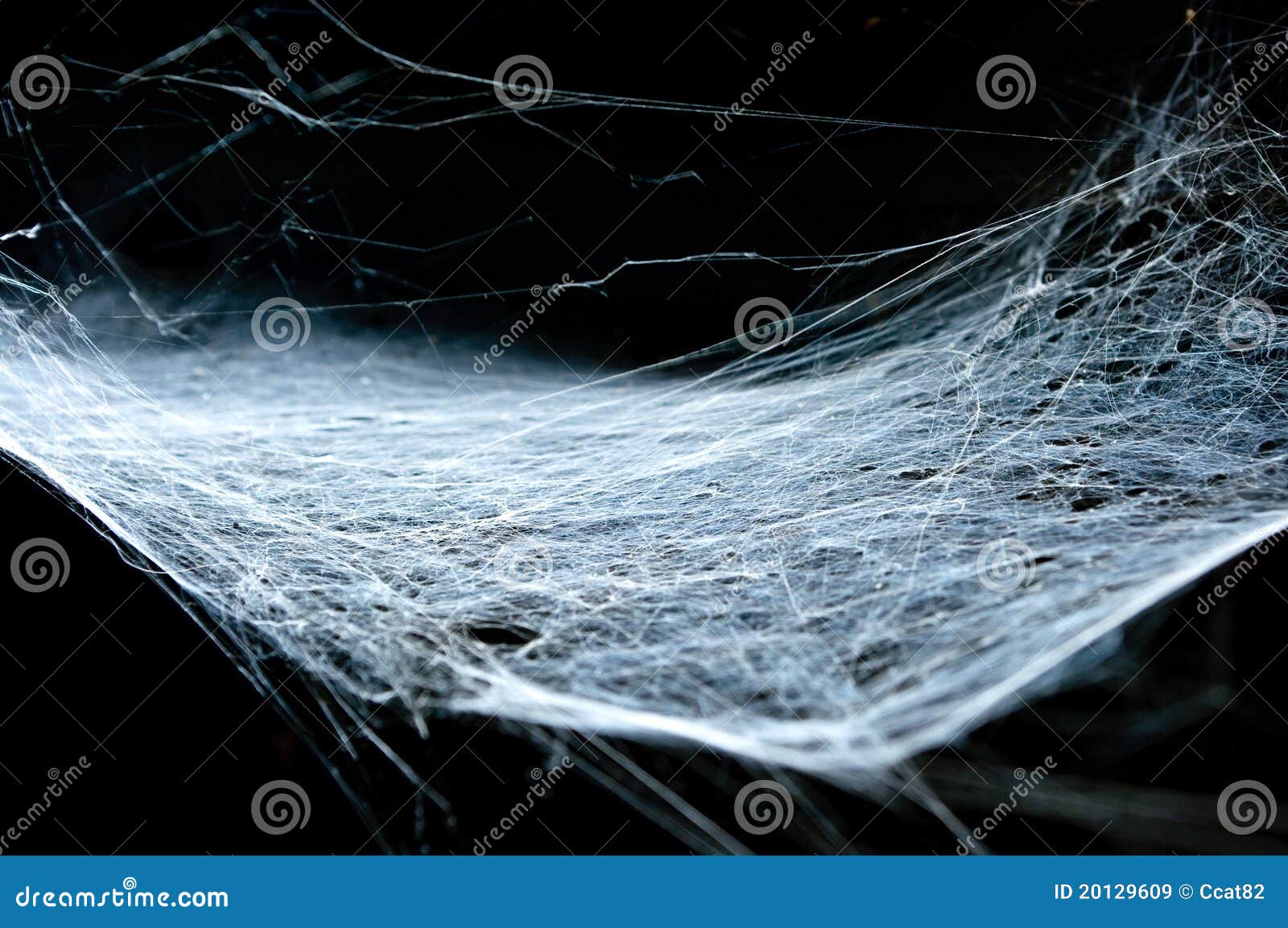Old Cobweb Royalty-Free Stock Photography | CartoonDealer.com #20129609