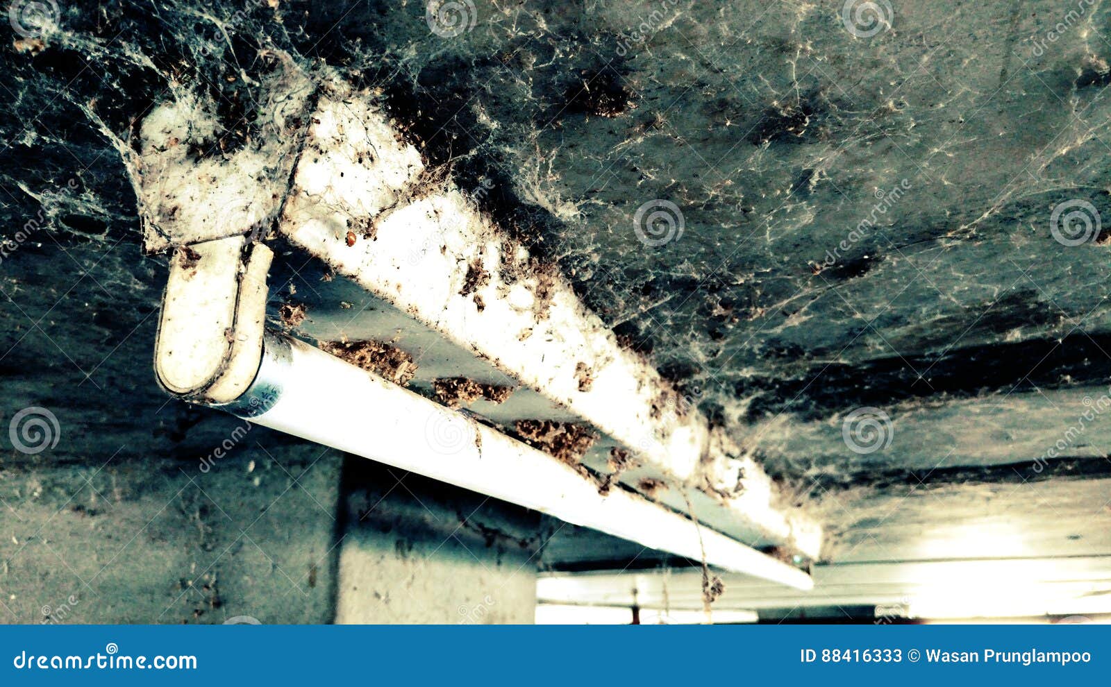 Old cobwebs stock image. Image of background, grunge - 88416333