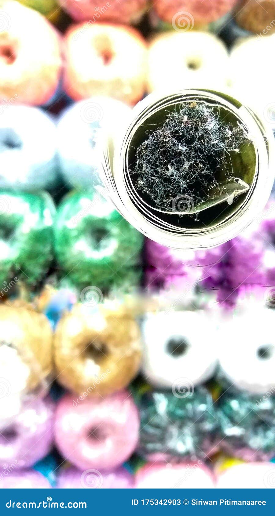 Old Cobwebs in the Paper Roll Stock Image - Image of roll, closeup ...