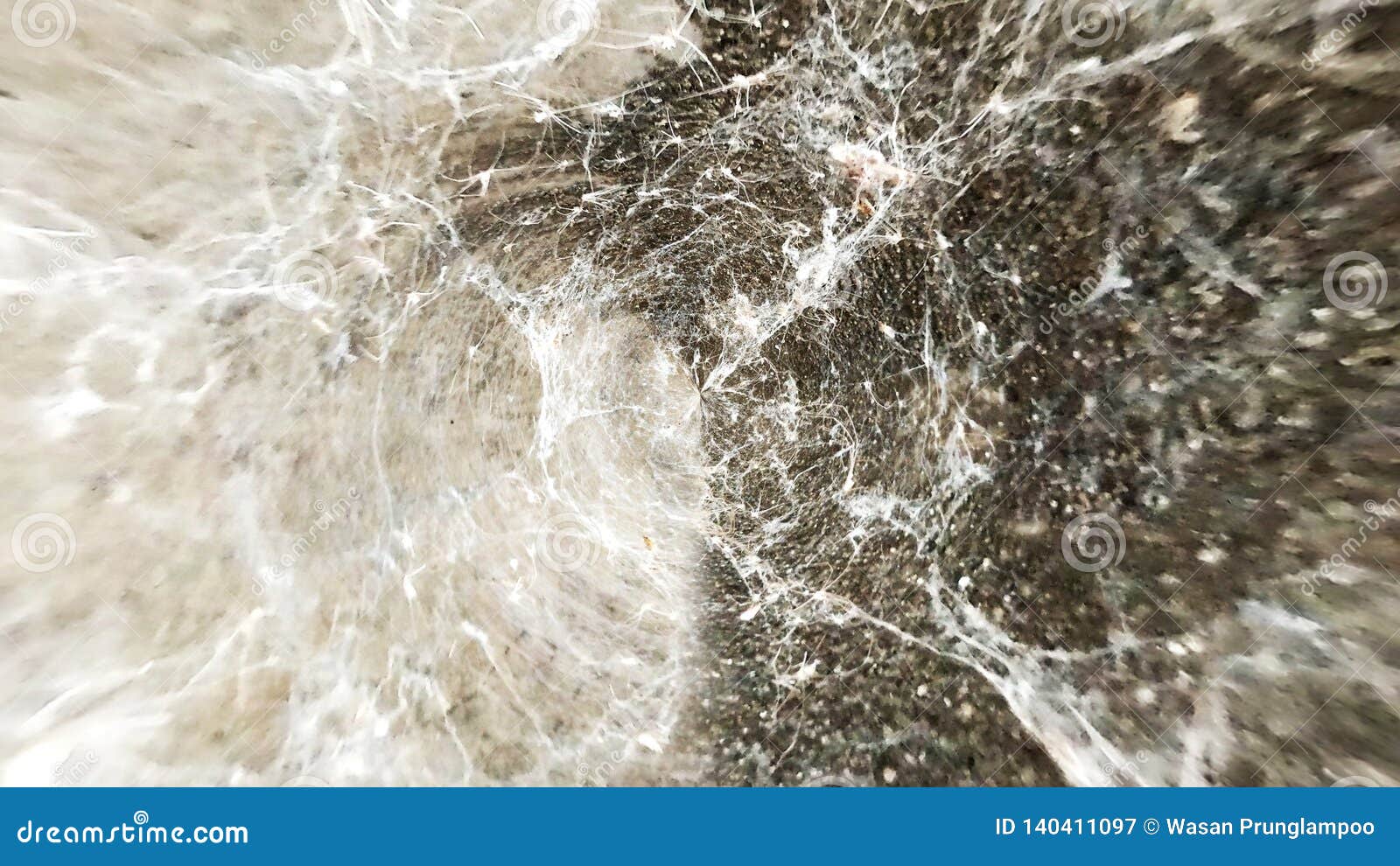 Old cobwebs texture stock image. Image of lamp, horror - 140411097