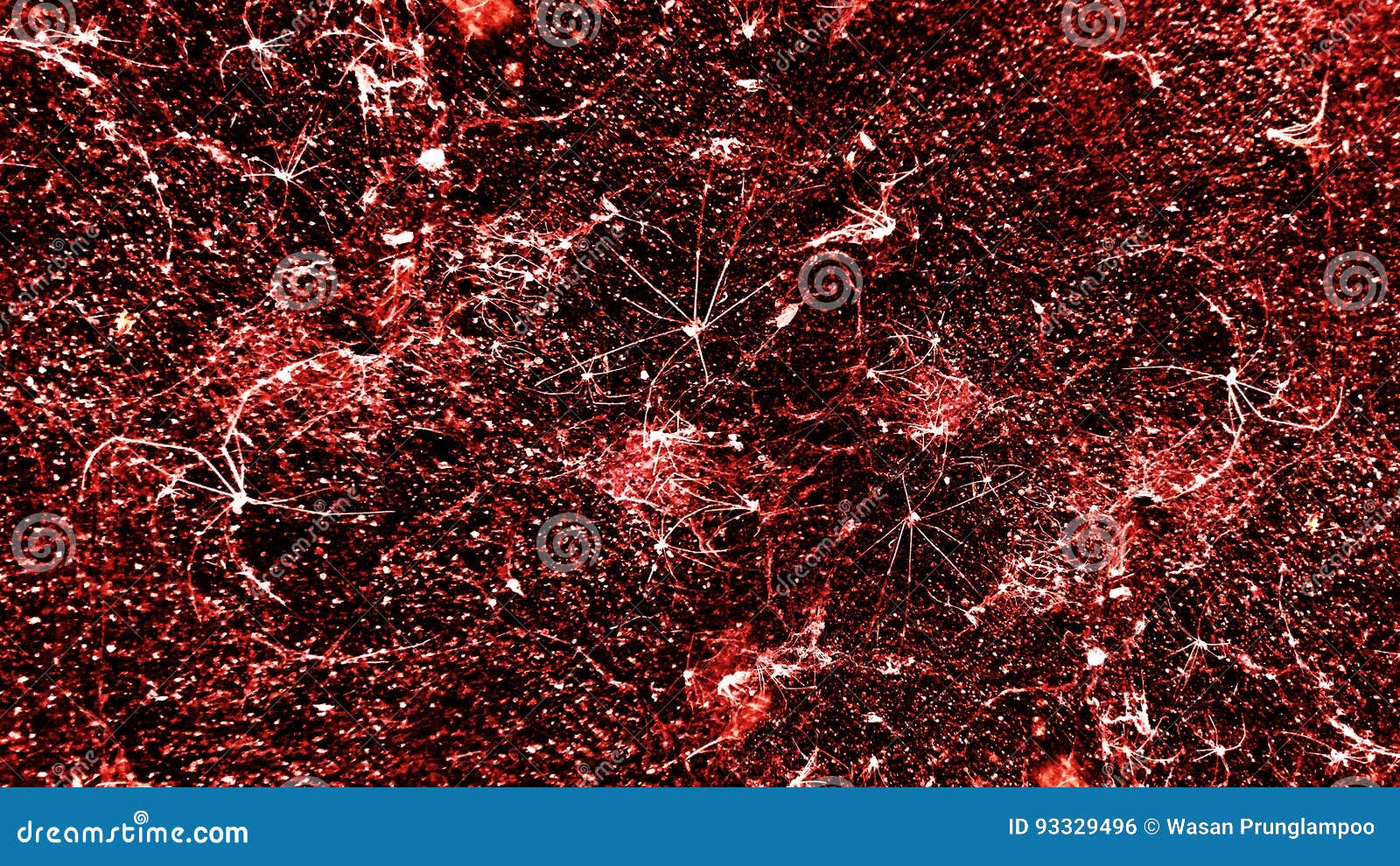 Old cobwebs texture stock photo. Image of blood, danger - 93329496