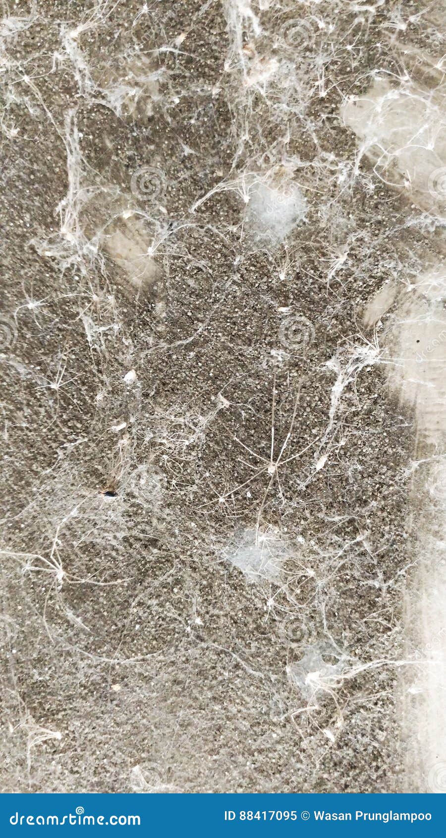 Old cobwebs texture stock image. Image of decoration - 88417095
