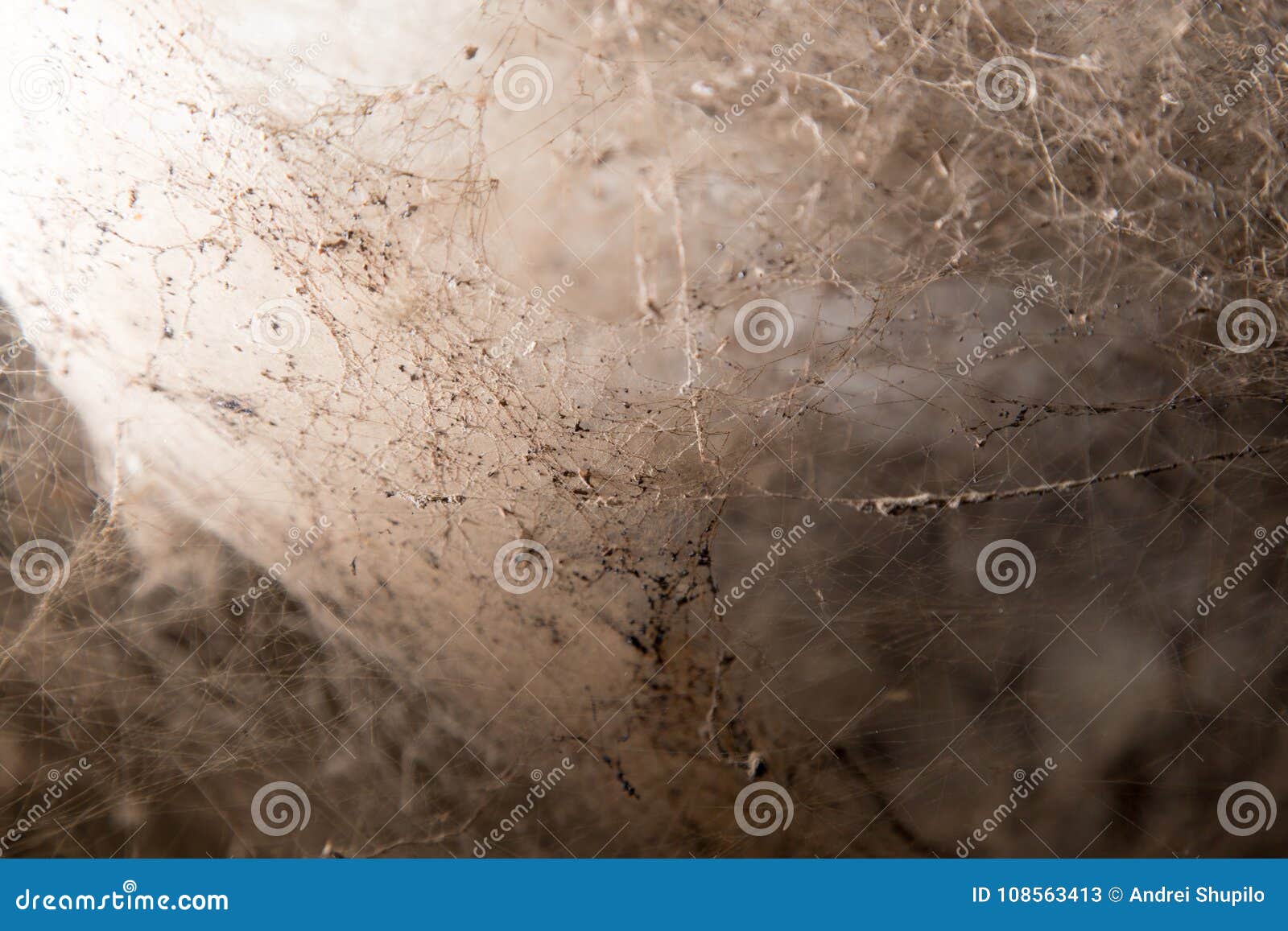 Old Cobwebs on the Wall As Background Stock Image - Image of connect ...