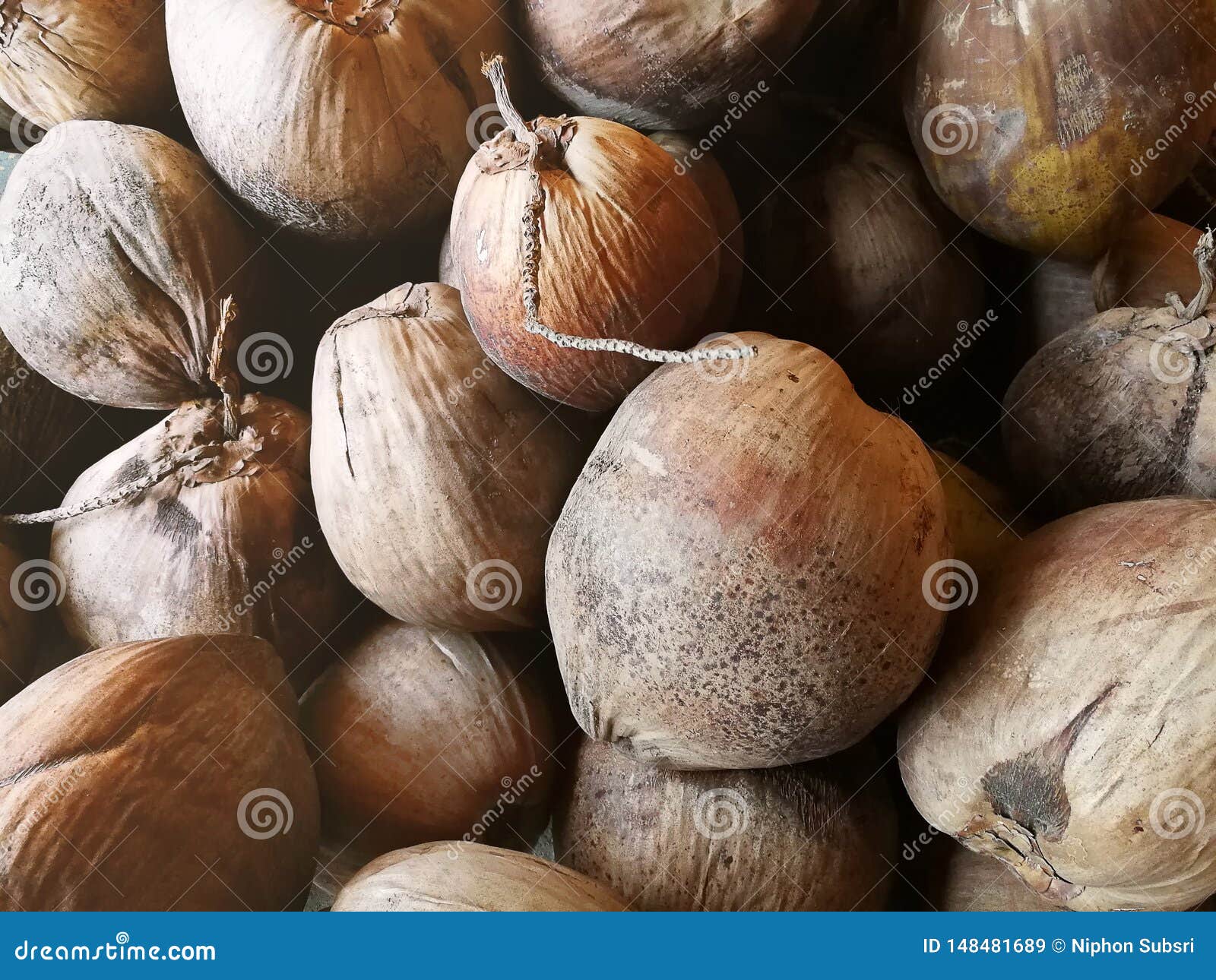 The Old Coconut and Coir Image for Food Content Stock Image - Image of ...