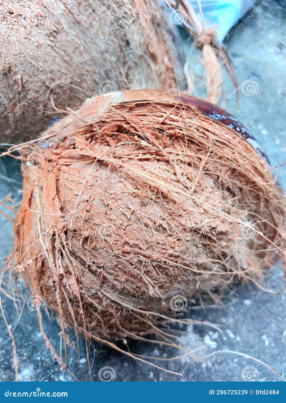 Old Coconut Coir Texture Dry Rough on the Ground Stock Image - Image of ...