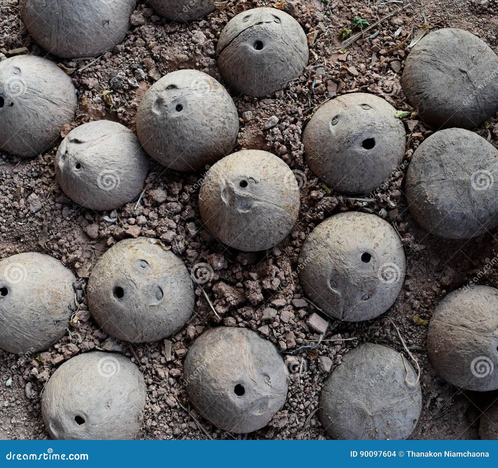 Old Coconut Shell on Dirty Ground Stock Photo - Image of group ...