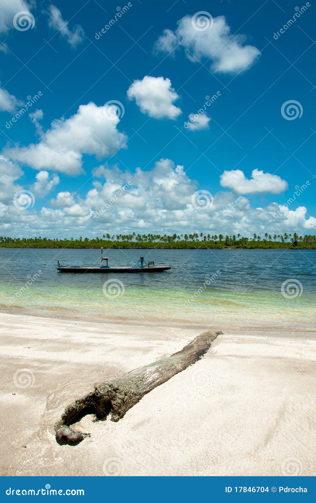 Old coconut trunk and raft stock photo. Image of paradise - 17846704