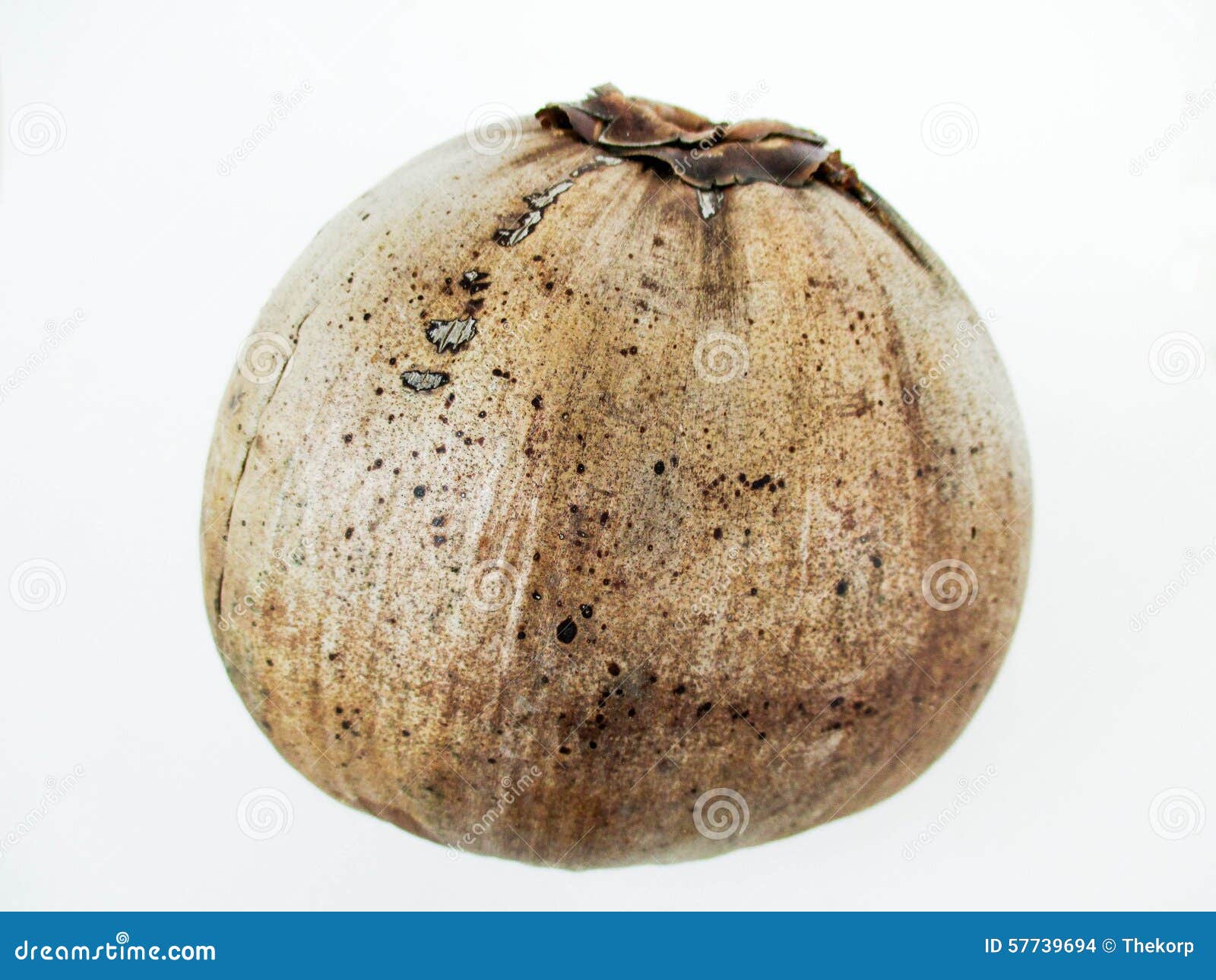 Old Coconut Stock Photo - Image: 57739694