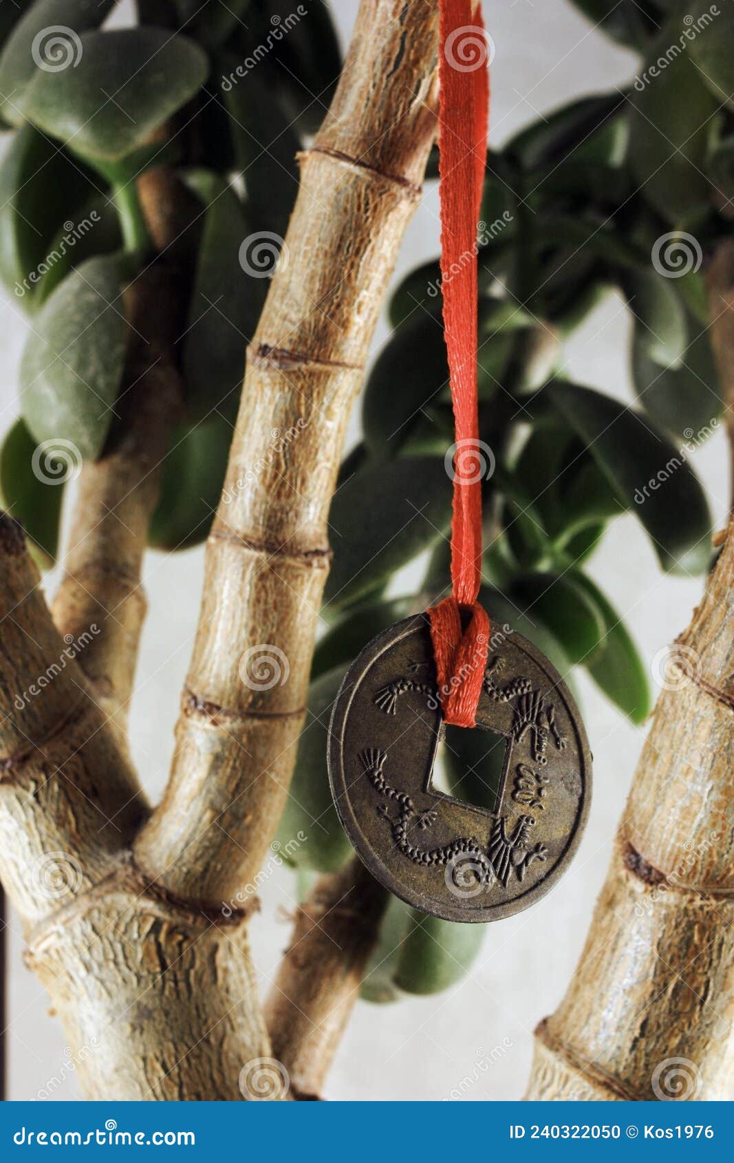 Coin Hanging on a Money Tree Stock Photo - Image of brown, hang: 240322050