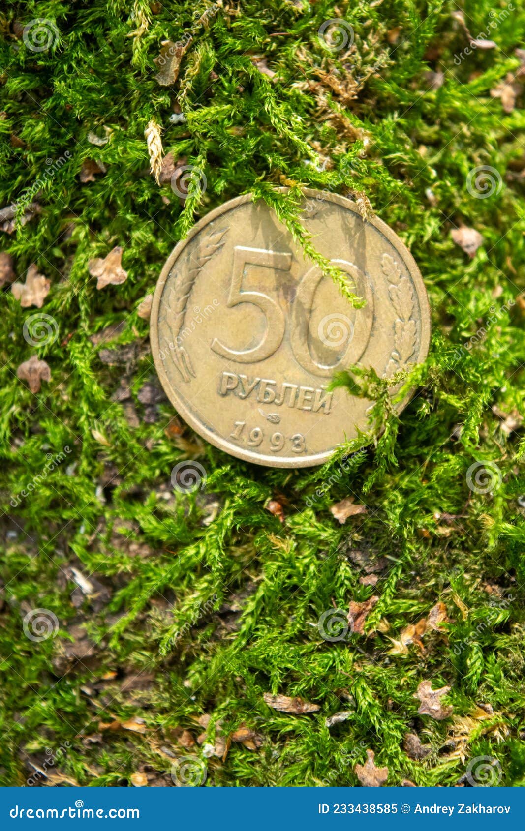 Old Coins in the Forest on Green Moss Stock Image - Image of retro ...