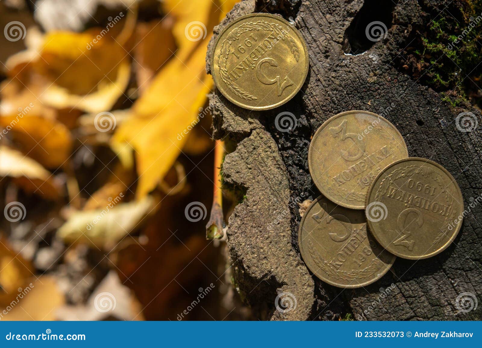 Old Coins in the Forest on the Stump of an Old Tree Stock Image - Image ...