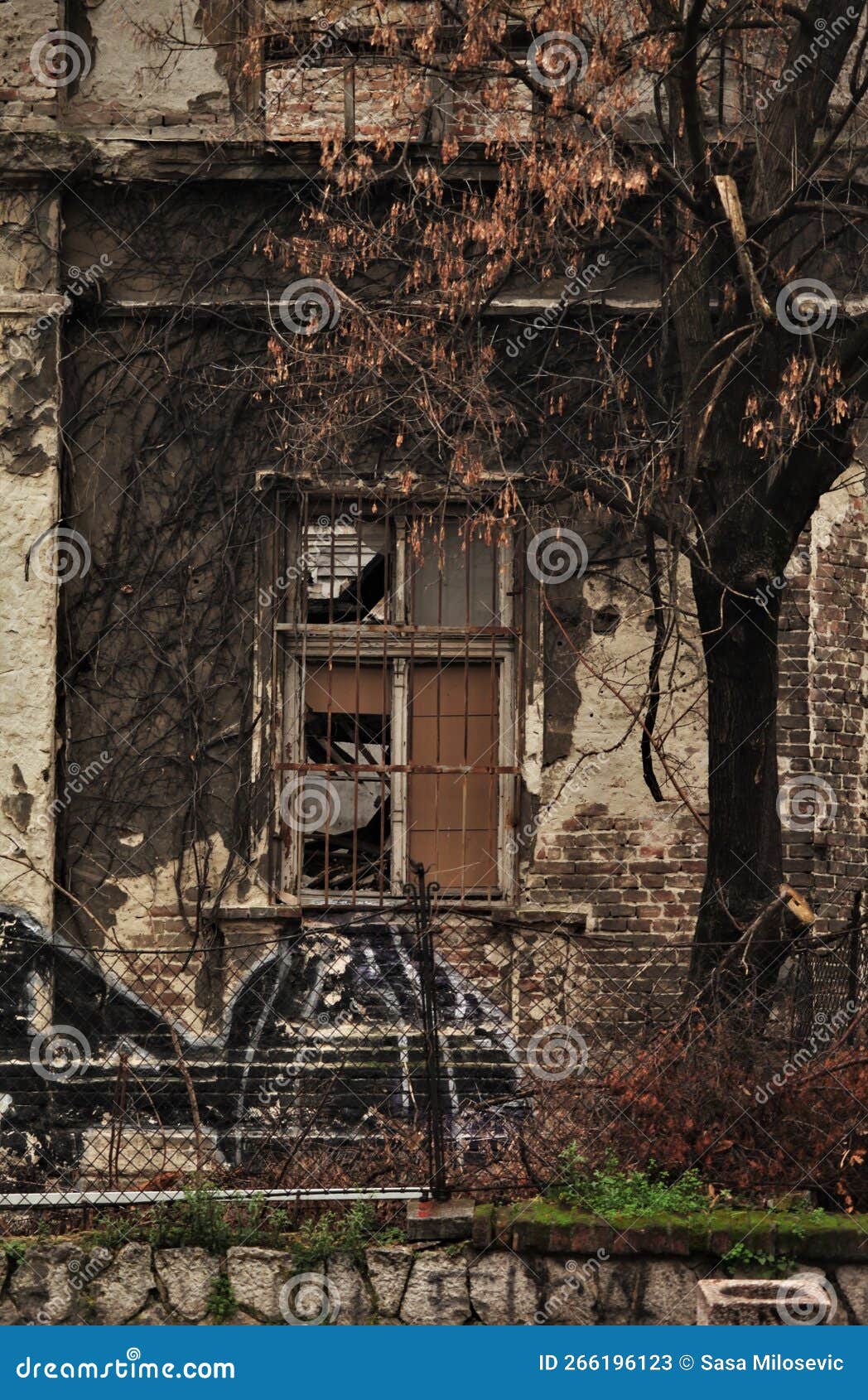An Old Collapsed Building with Bricks and Wood in the Yard Stock Image ...