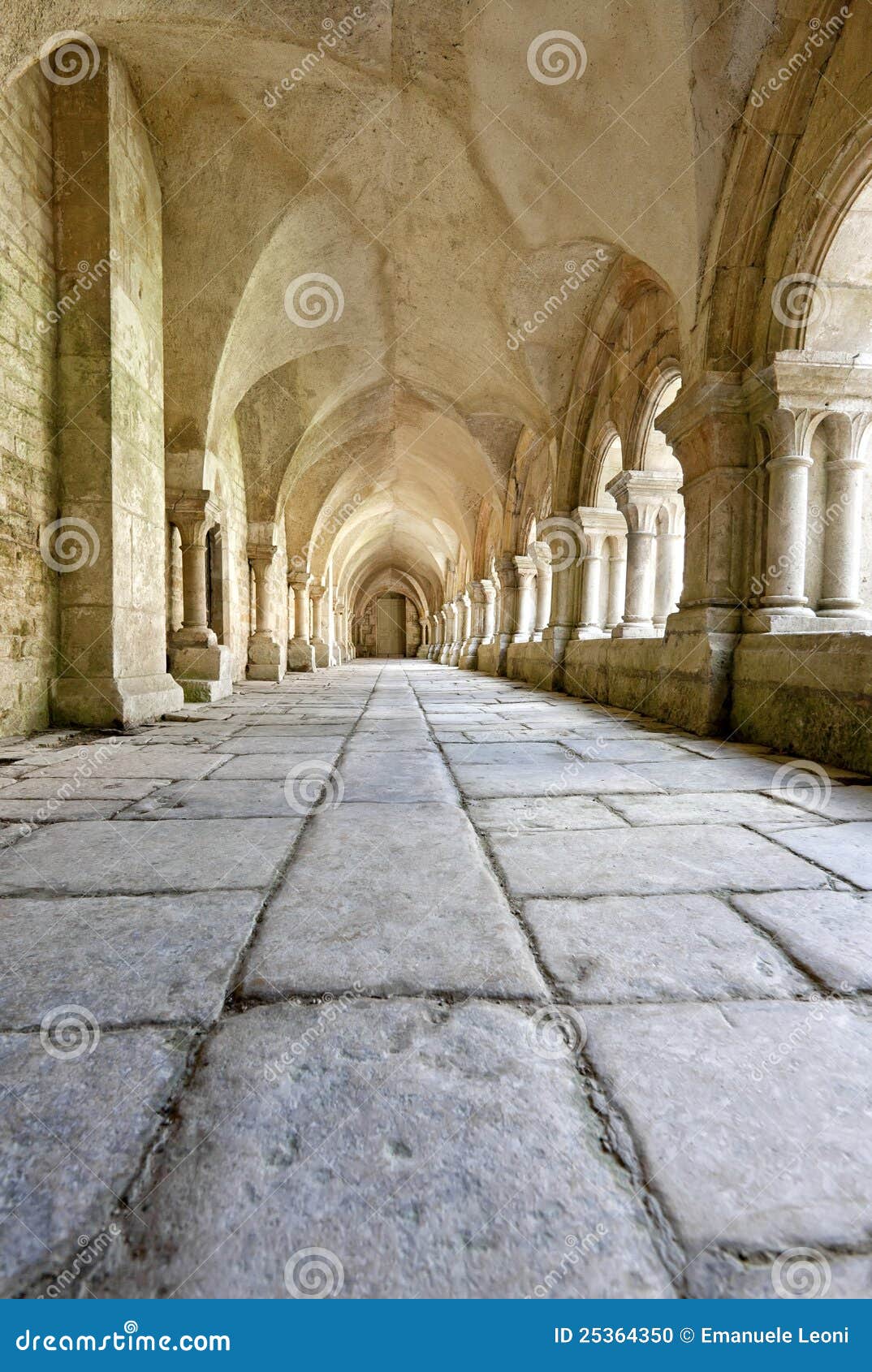 Old Colonnaded Closter in the Abbaye De Fontenay Stock Photo - Image of ...