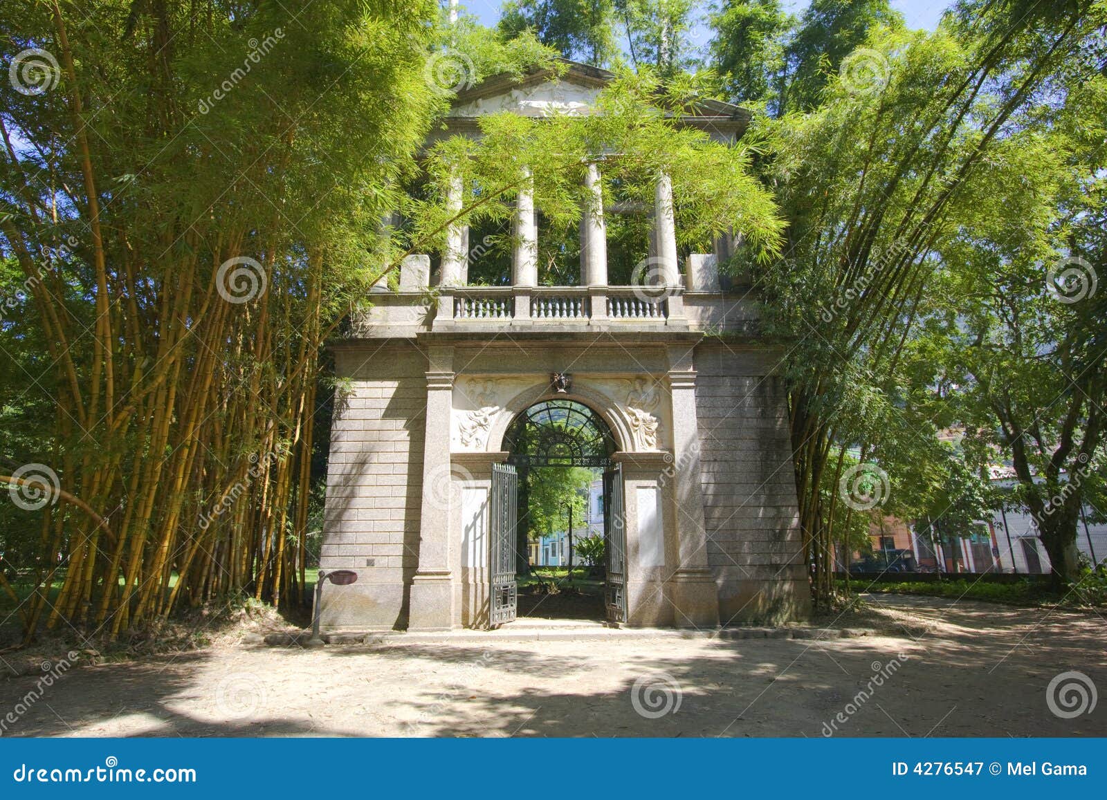 Old columns stock image. Image of giant, leave, tree, branch - 4276547