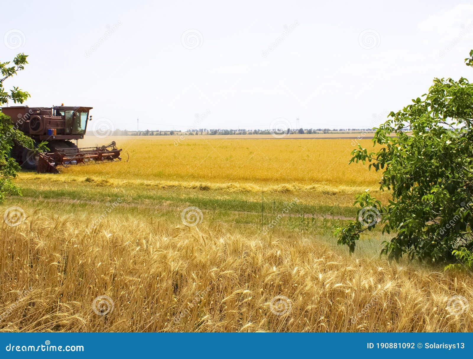 Combines at field stock photo. Image of harvest, gathering - 190881092