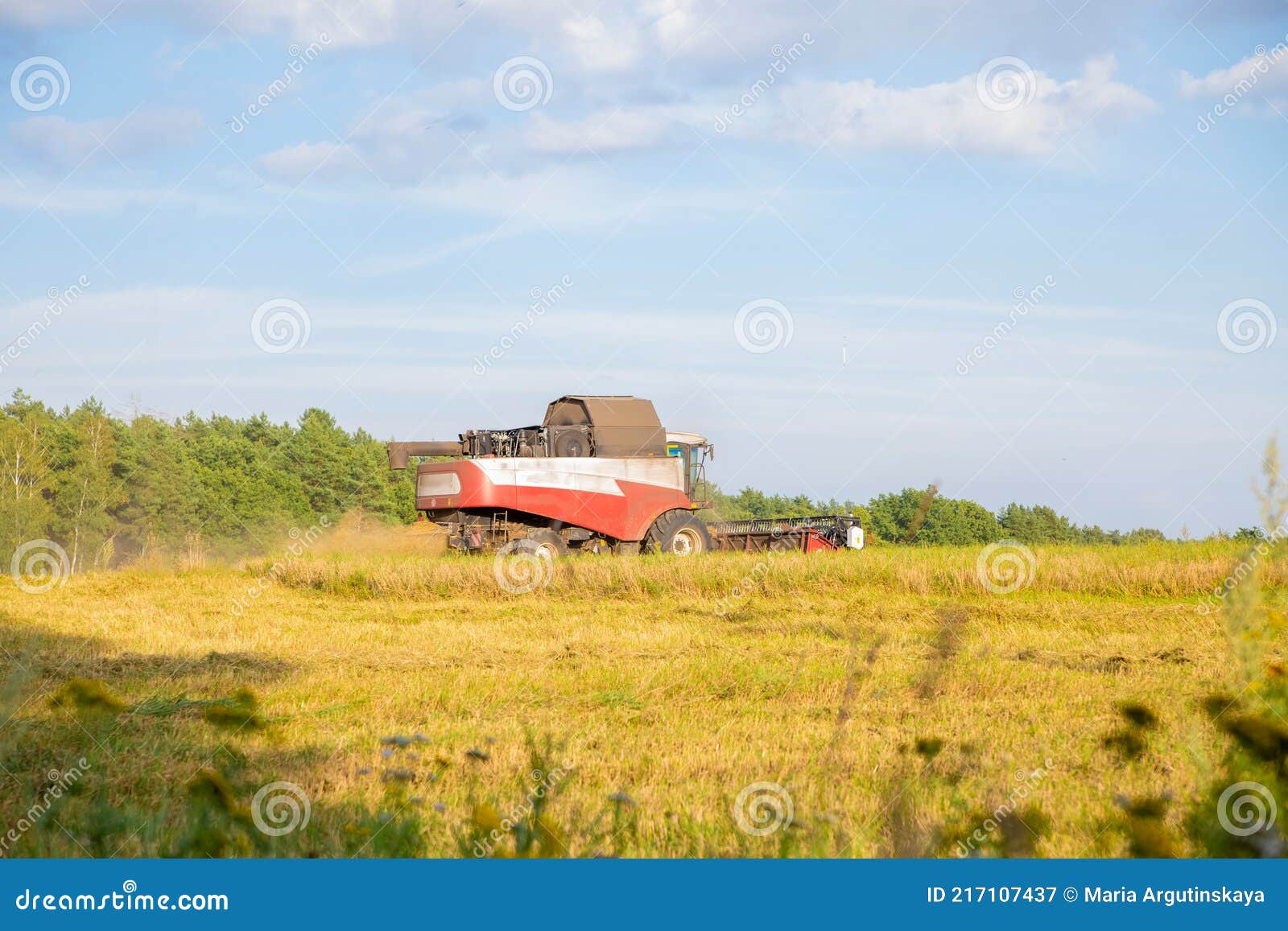 Old Combine Harvester Harvests from the Field Stock Image - Image of ...
