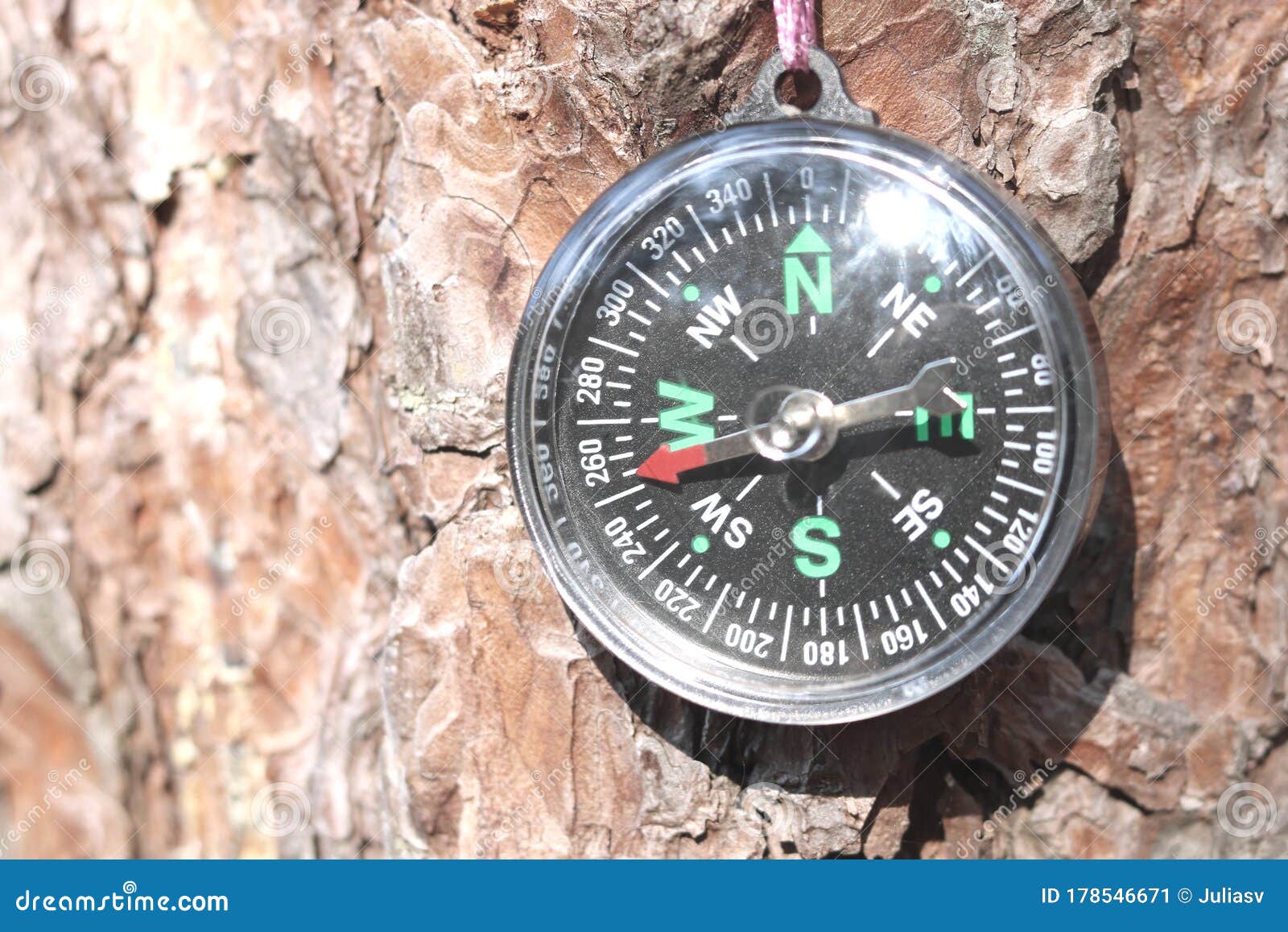 Old compass on tree stock image. Image of conceptual - 178546671