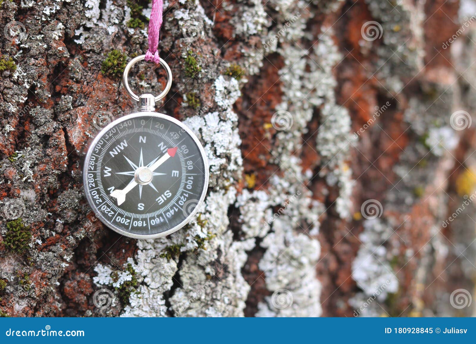 Old Compass on Tree in Forest Stock Image - Image of equipment ...