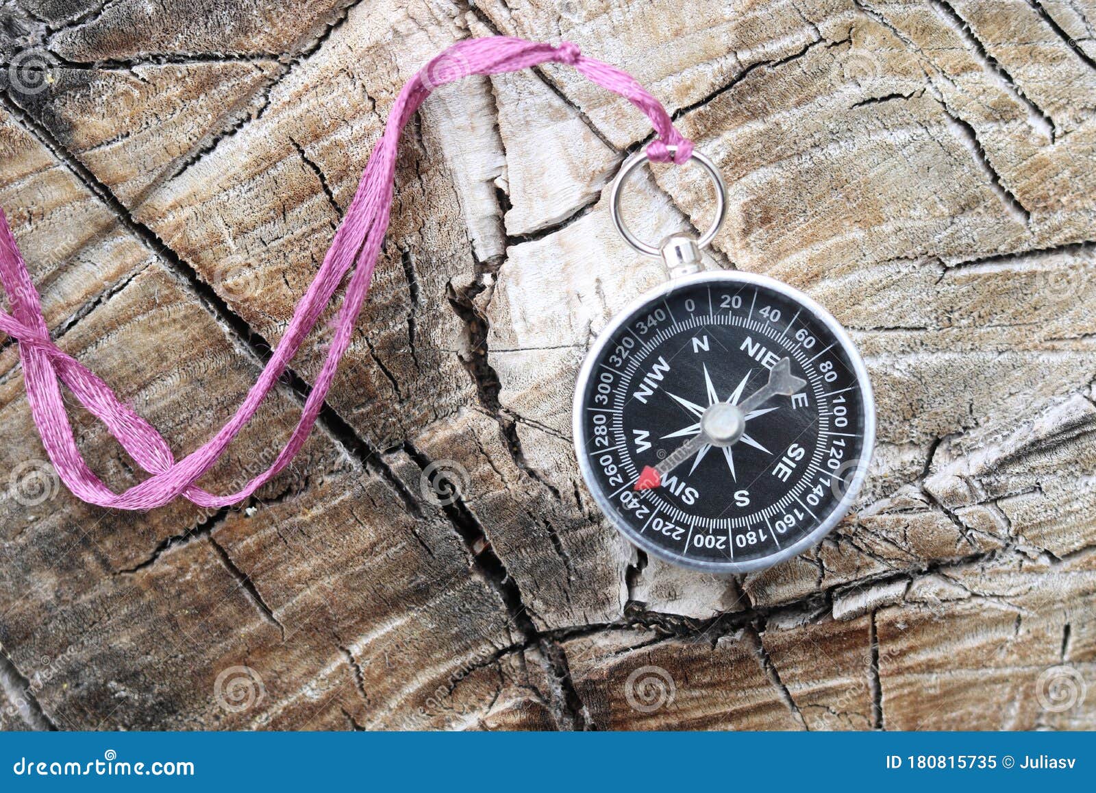 Old Compass on Tree in Forest Stock Image - Image of guidance ...
