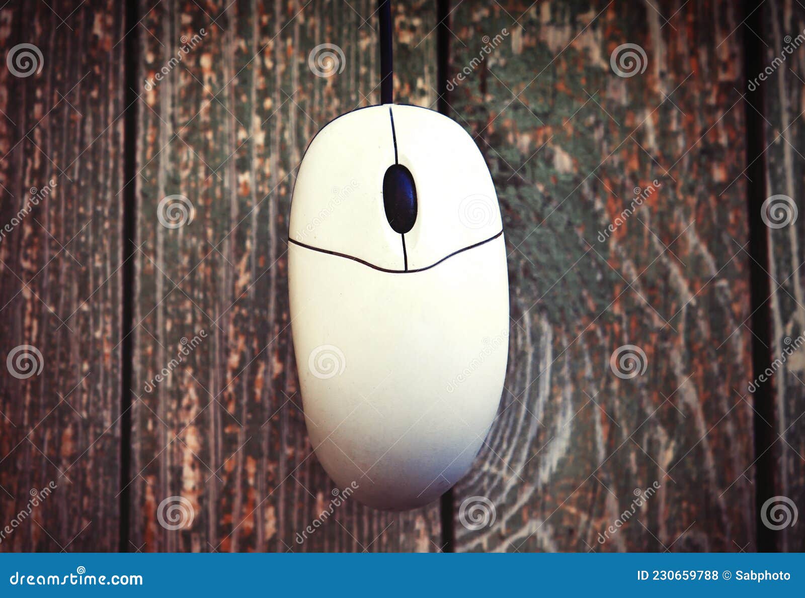 Old Computer Mouse stock photo. Image of office, mouse - 230659788