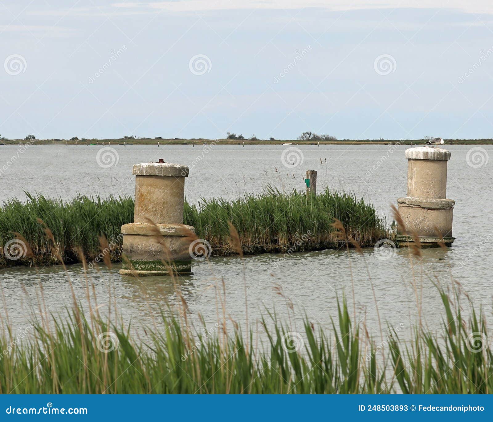 Old Concrete Artifacts Called COLLECTION WELLS for the Extractio Stock ...