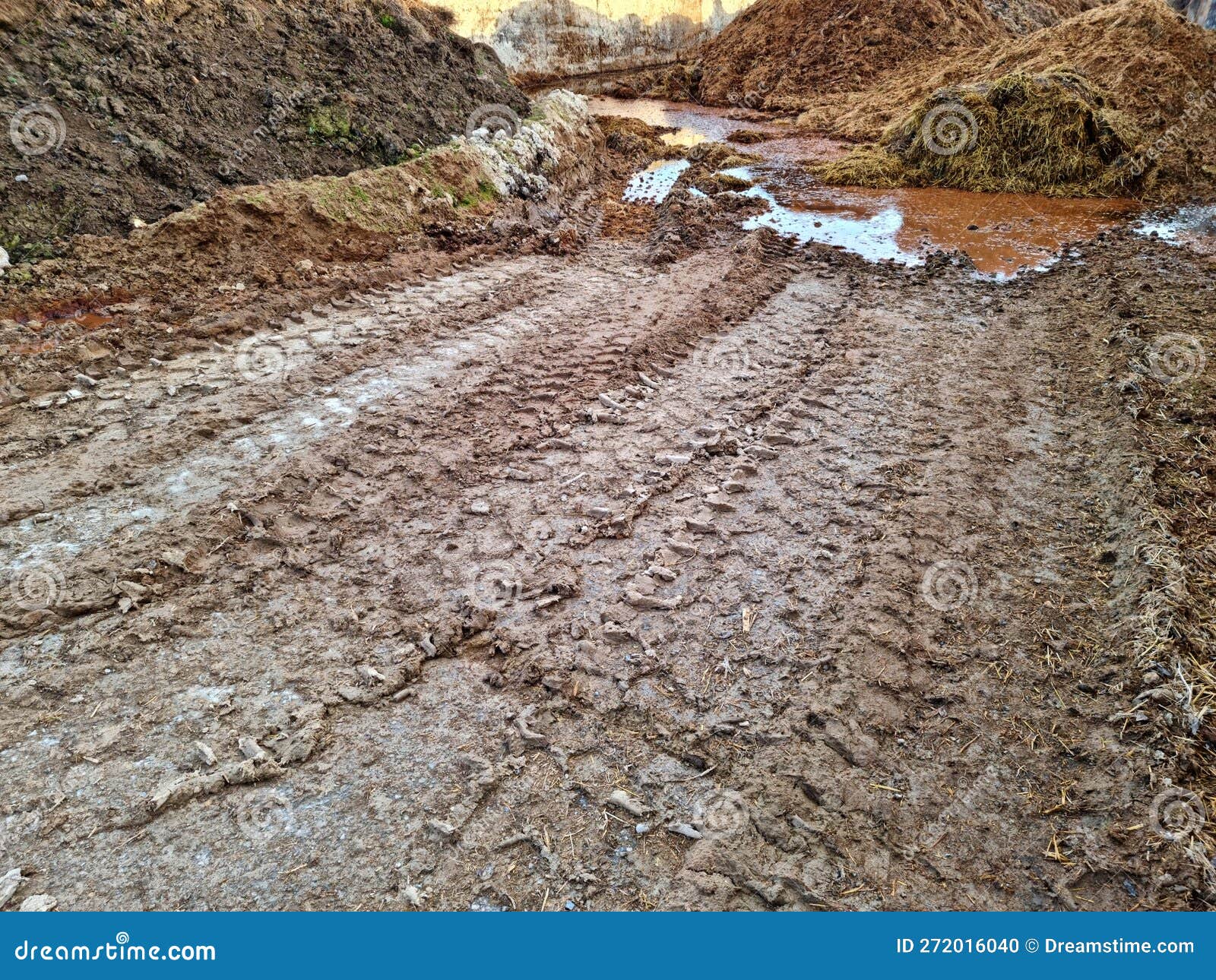 Old concrete dung pit stock photo. Image of ugly, tree - 272016040