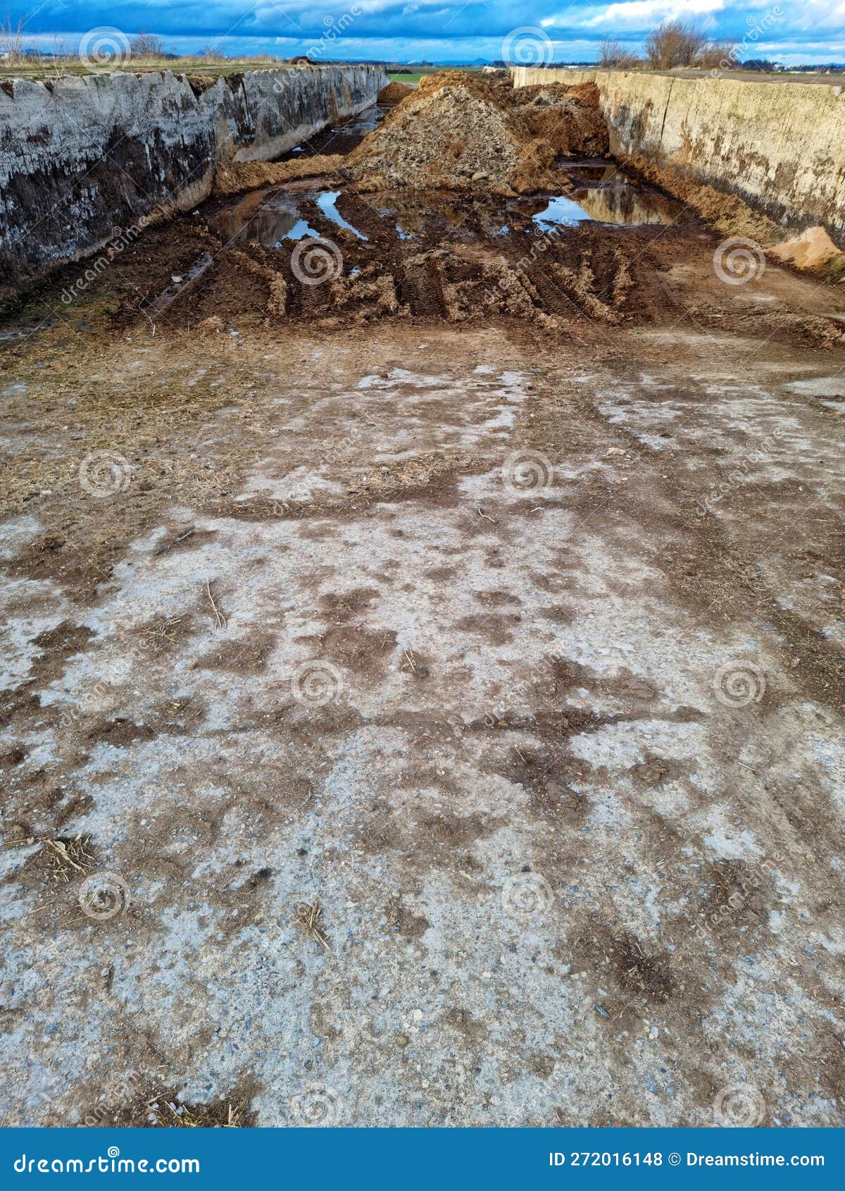 Old concrete dung pit stock photo. Image of natural - 272016148