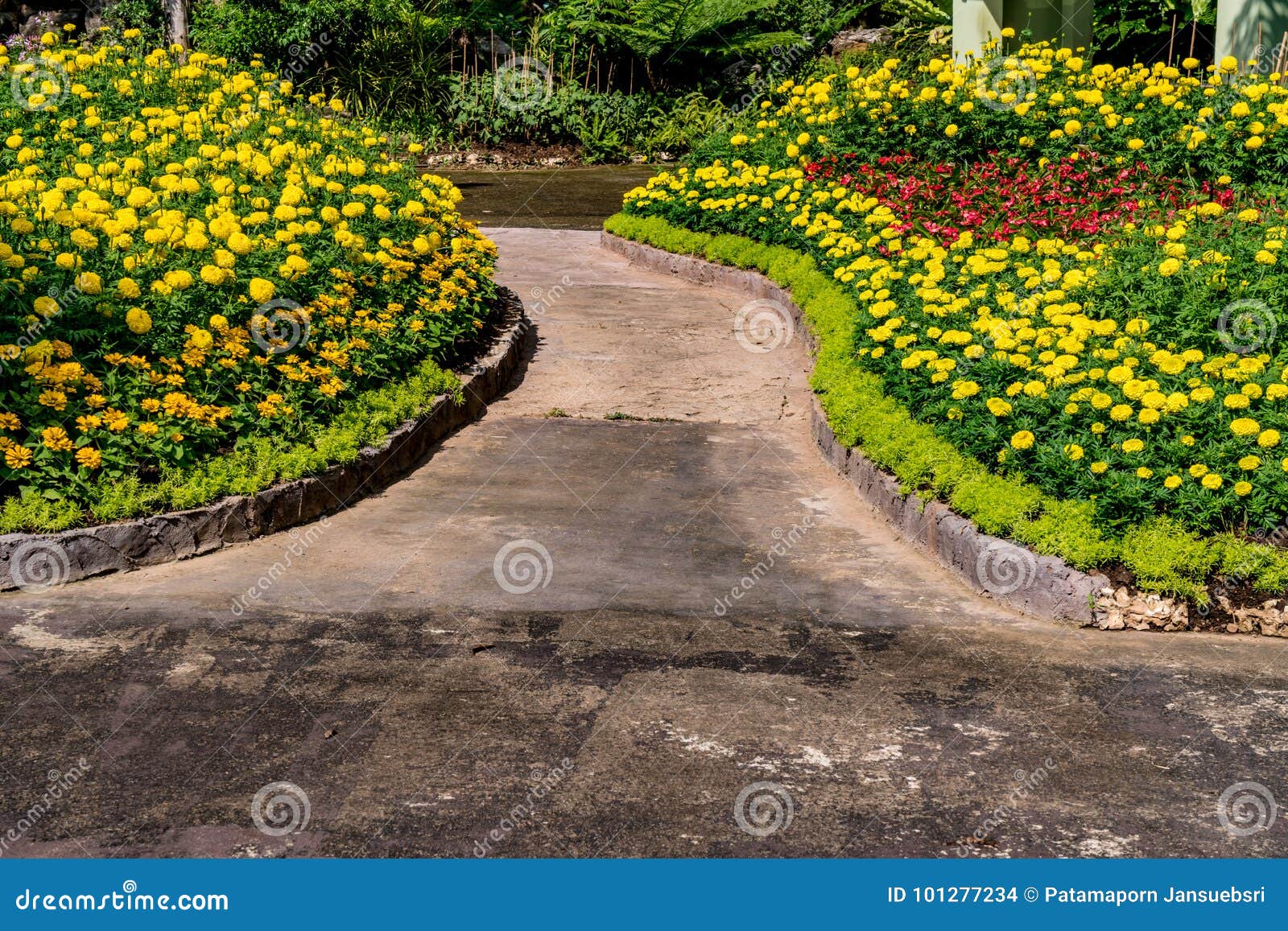 Old Concrete footpath stock photo. Image of paving, material - 101277234