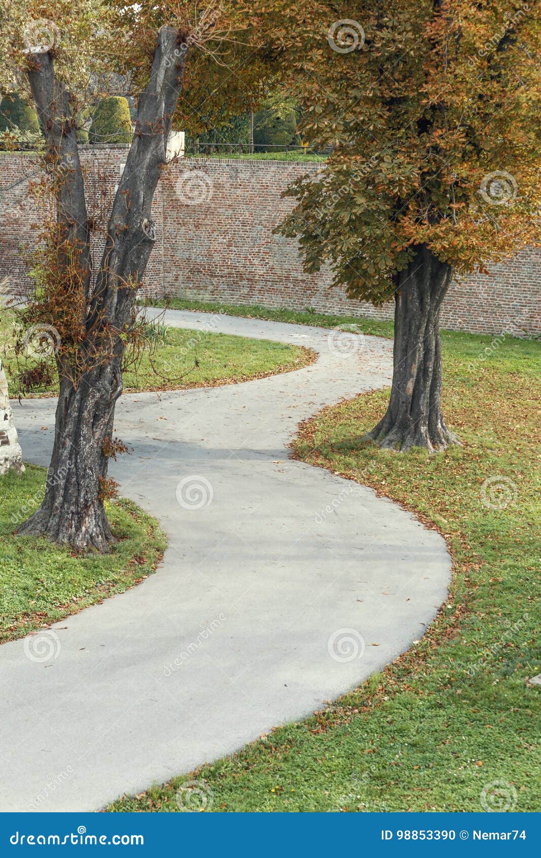 Old Concrete Path between Trees in Park Stock Photo - Image of vibrant ...