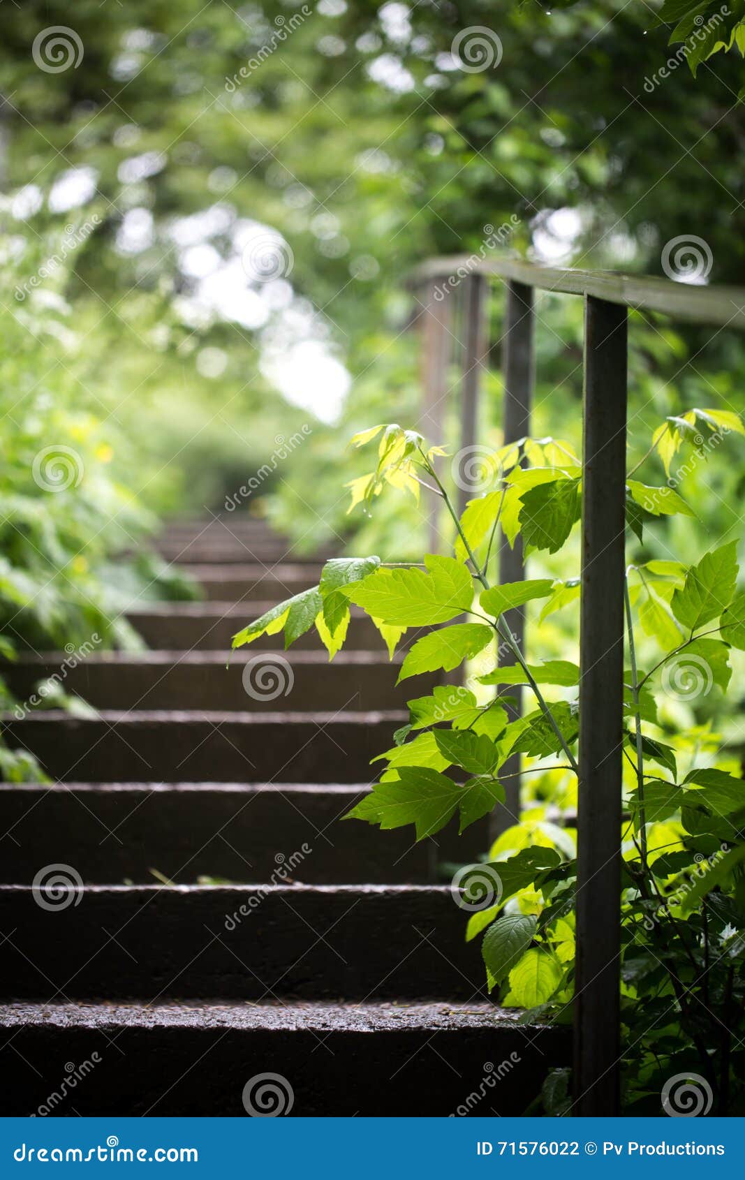 Old Concrete Stairs in Booths Stock Photo - Image of handrail, concept ...