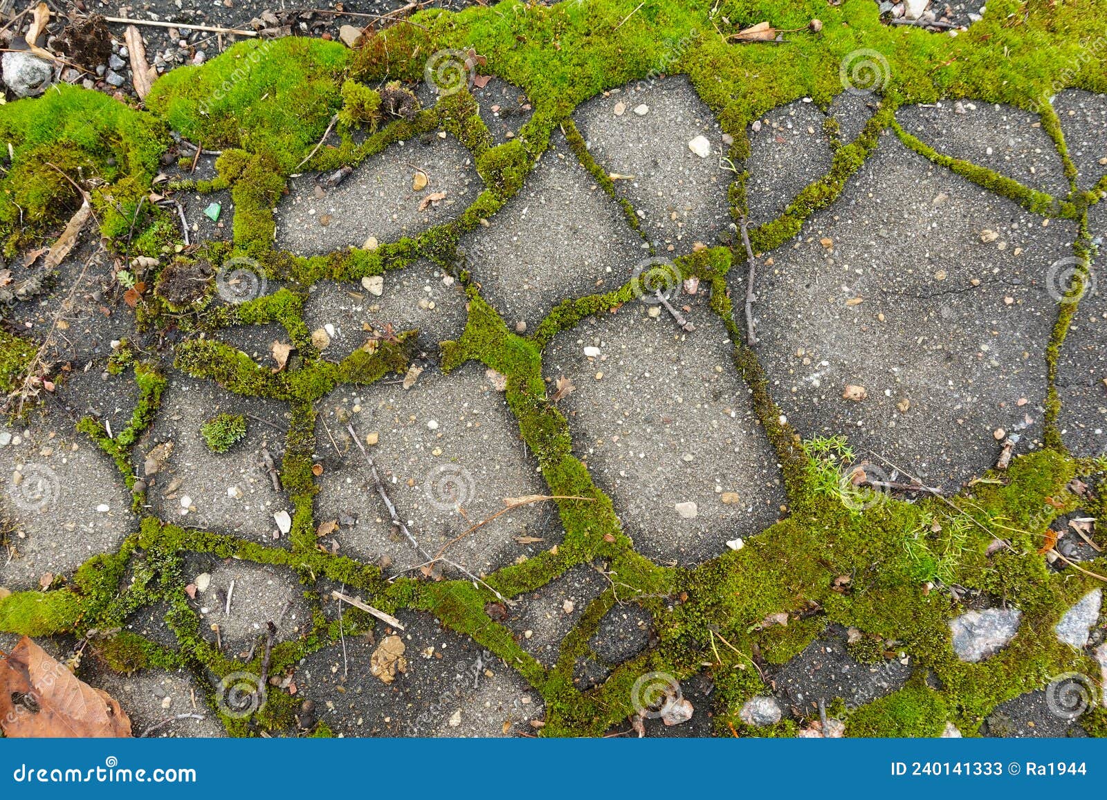 Old Concrete Wall Covered with Moss. Rough Texture Background Stock ...