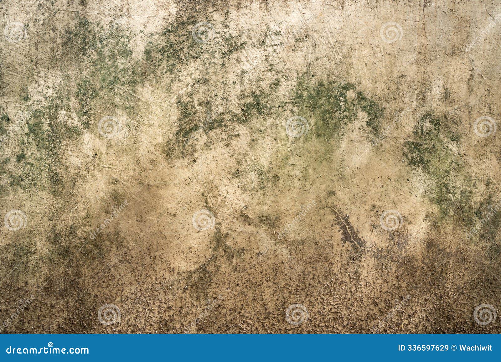 Old Concrete Wall with Green Algae Stock Image - Image of tree, grass ...