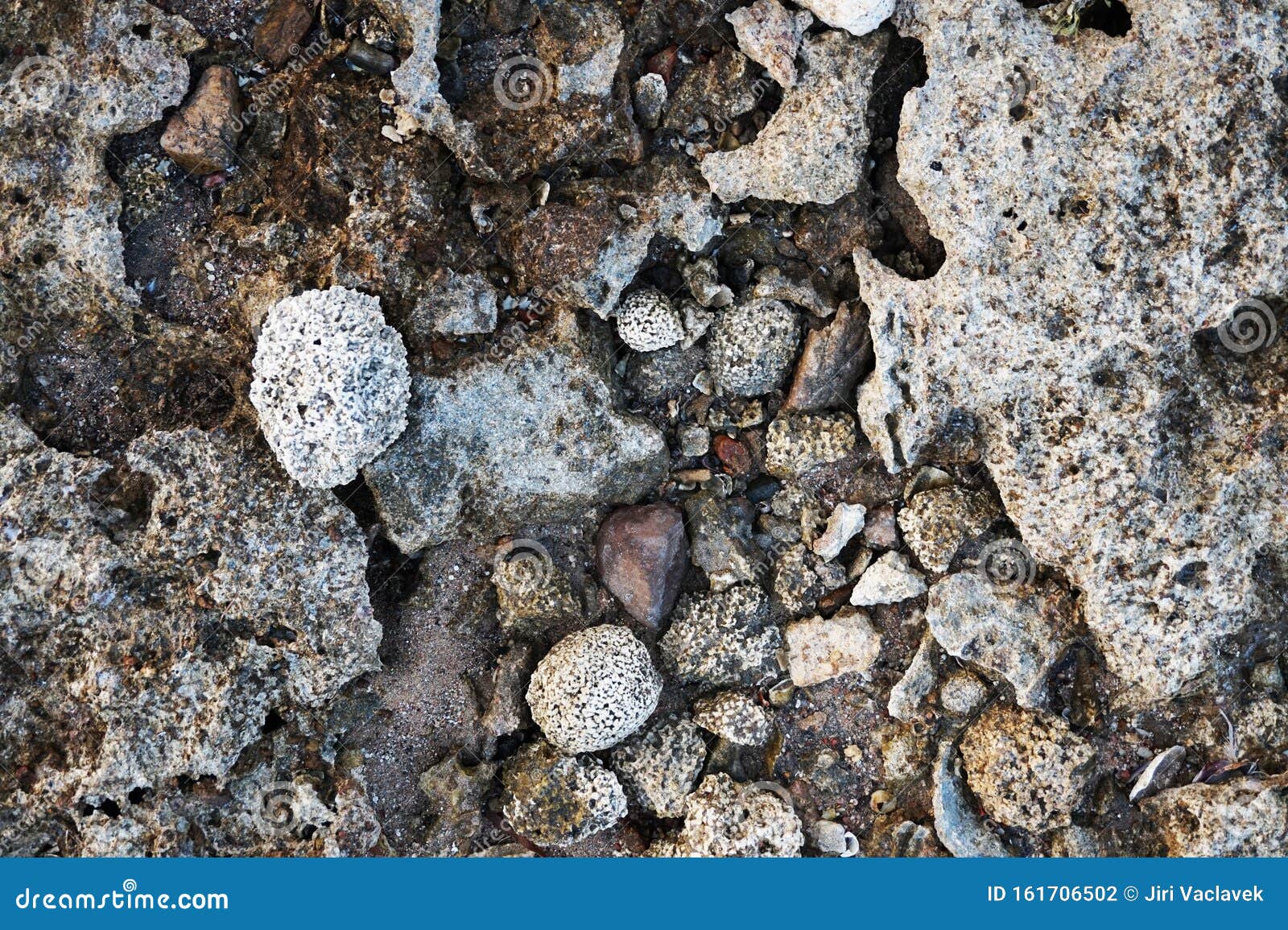 Old coral stone texture stock photo. Image of ocean - 161706502