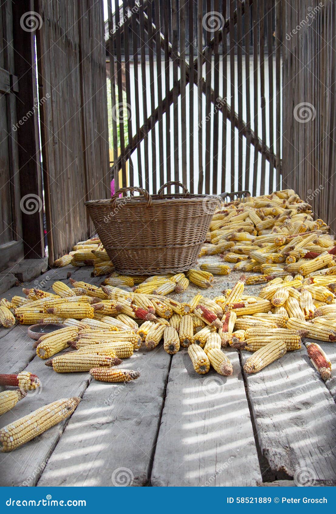 Old corn dryer stock image. Image of building, vintage - 58521889