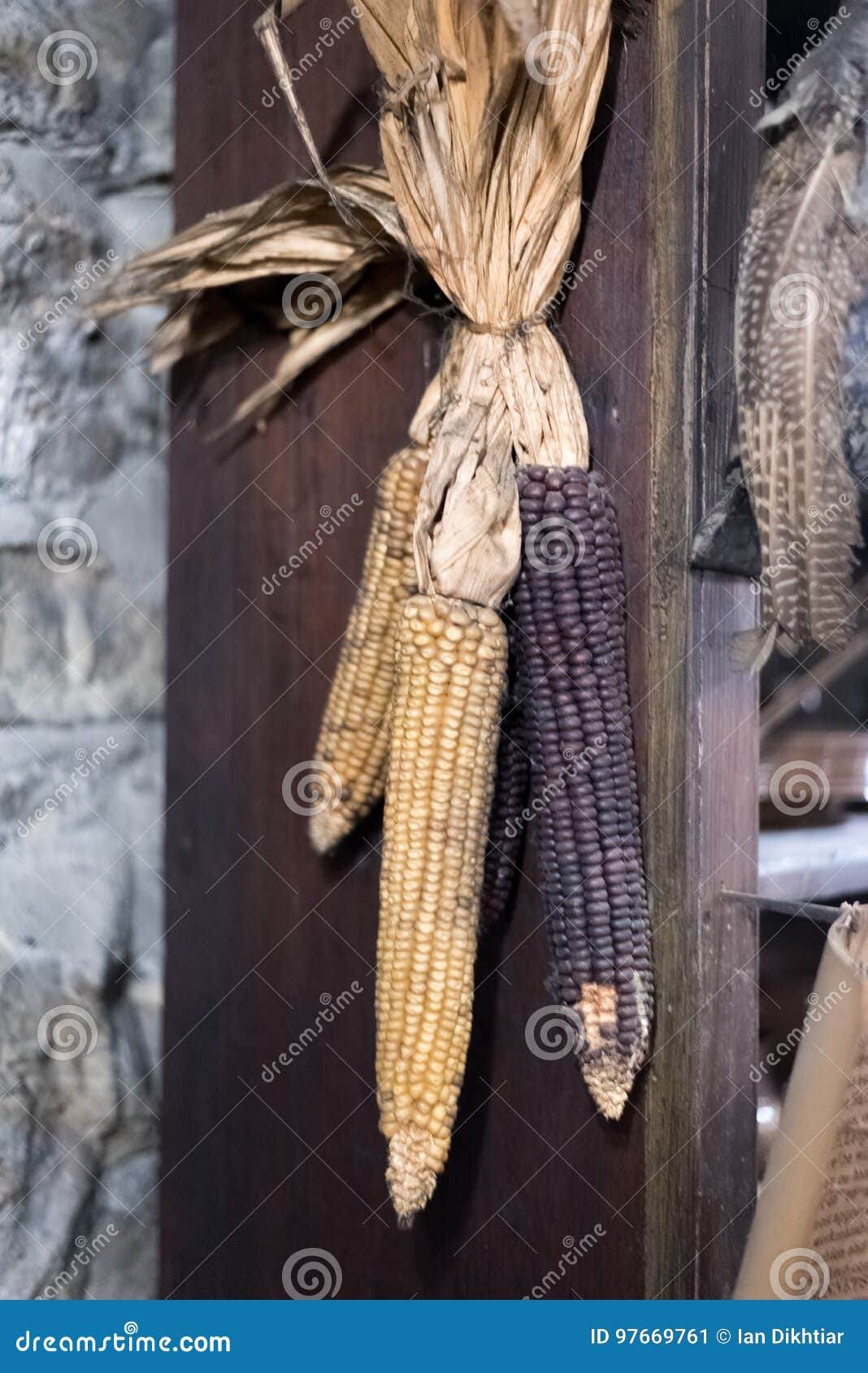Old Corn Hanging Off the Building Wall Stock Image - Image of ...