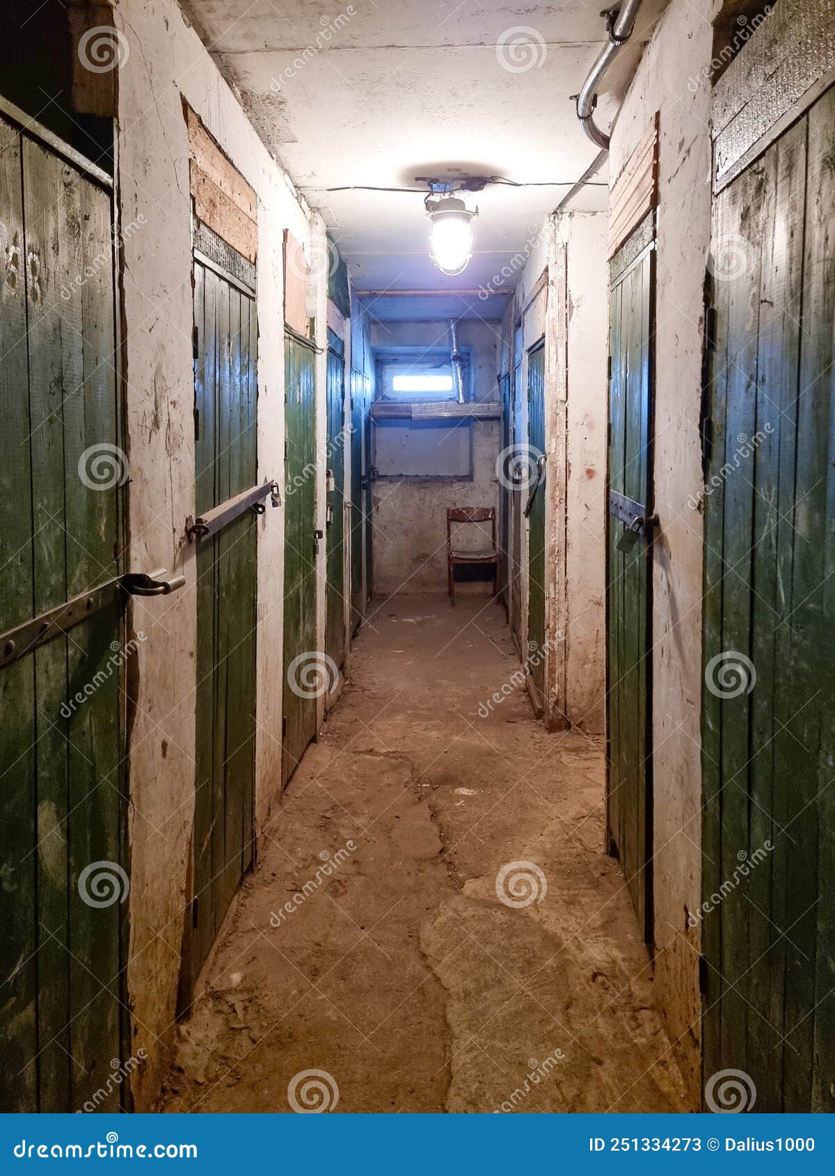 Old Corridor in a Old Basement. Green Doors Stock Image - Image of ...