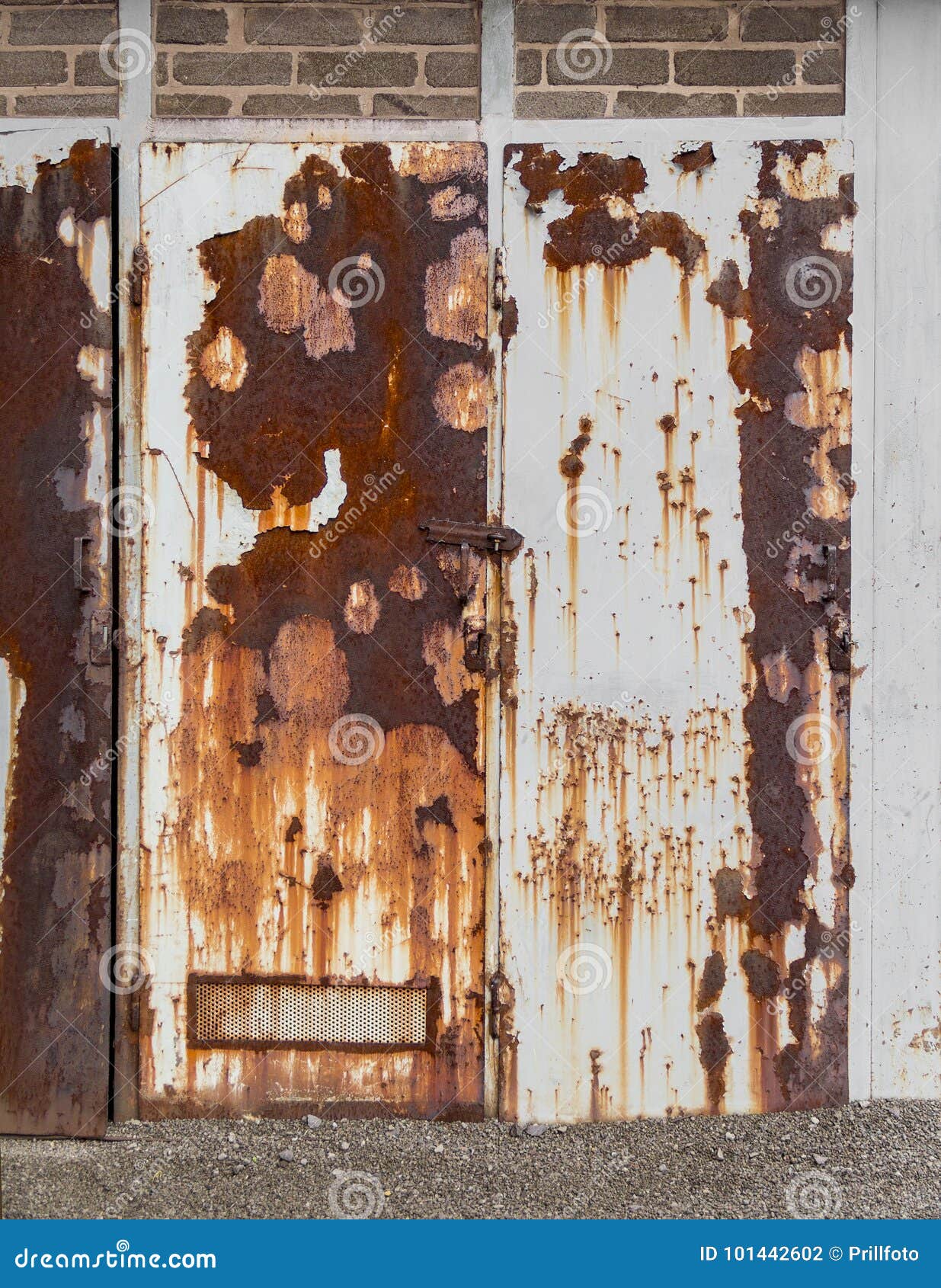 Old corroded door stock photo. Image of rust, time, plant - 101442602
