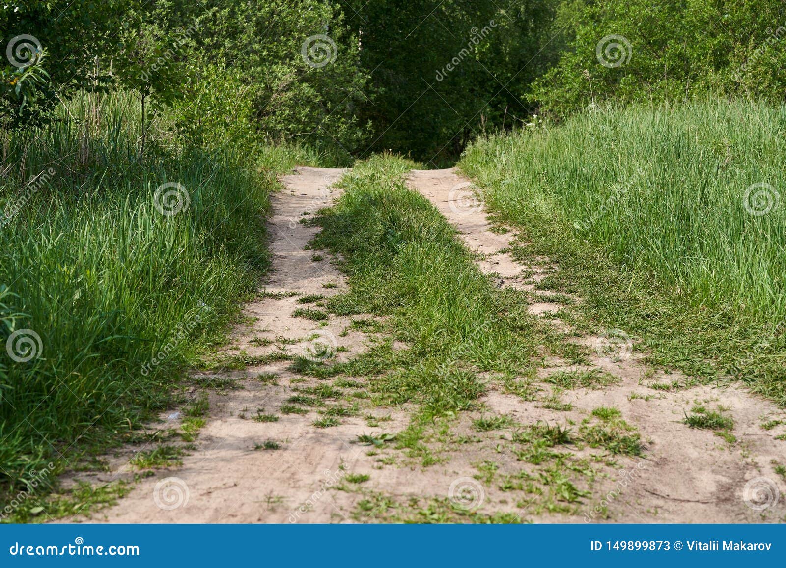 Old Country Dirt Road In The Middle Of The Forest Stock Image - Image ...