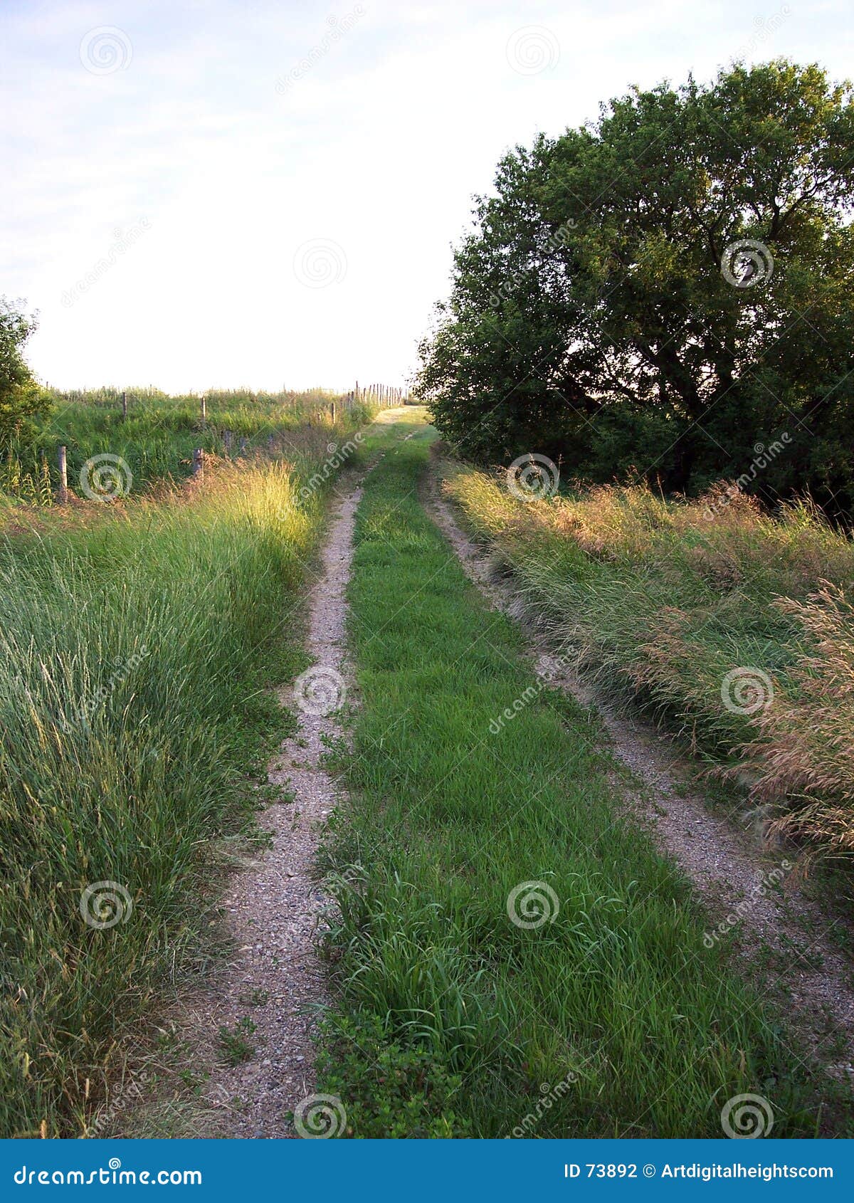 Old Country Road stock photo. Image of dirt, grass, gravel - 73892