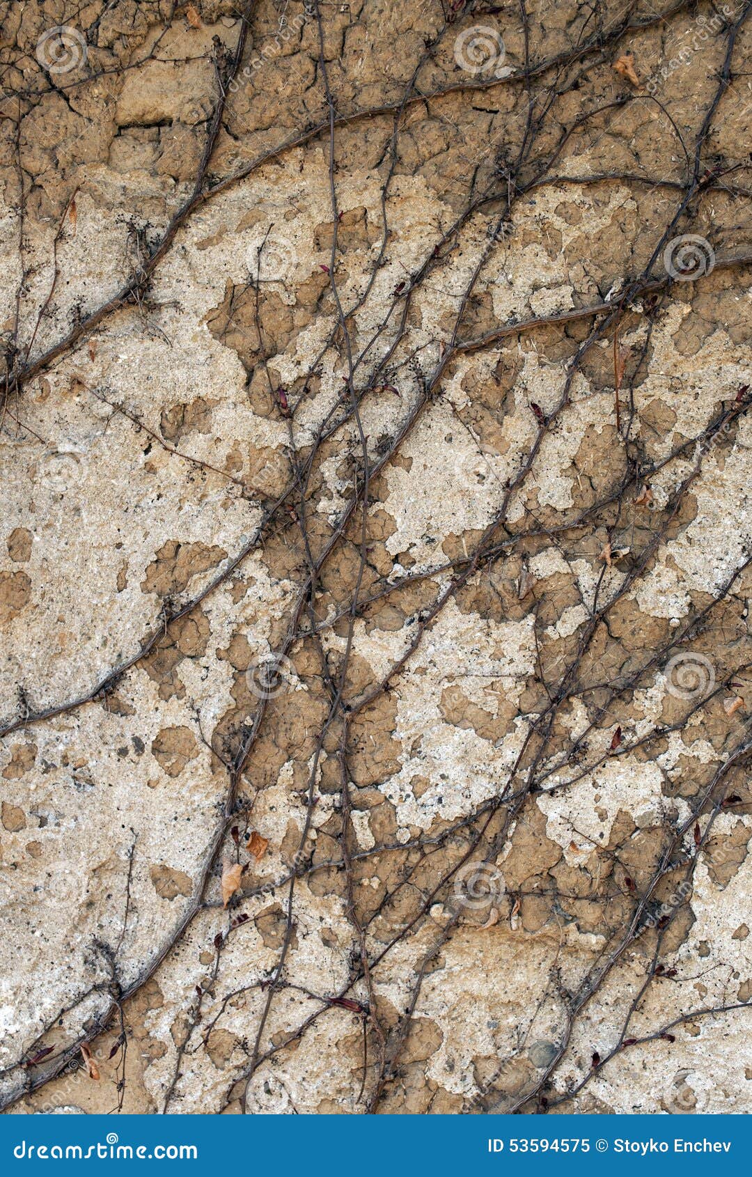 Mud Adobe Wall Texture Royalty-Free Stock Photography | CartoonDealer ...