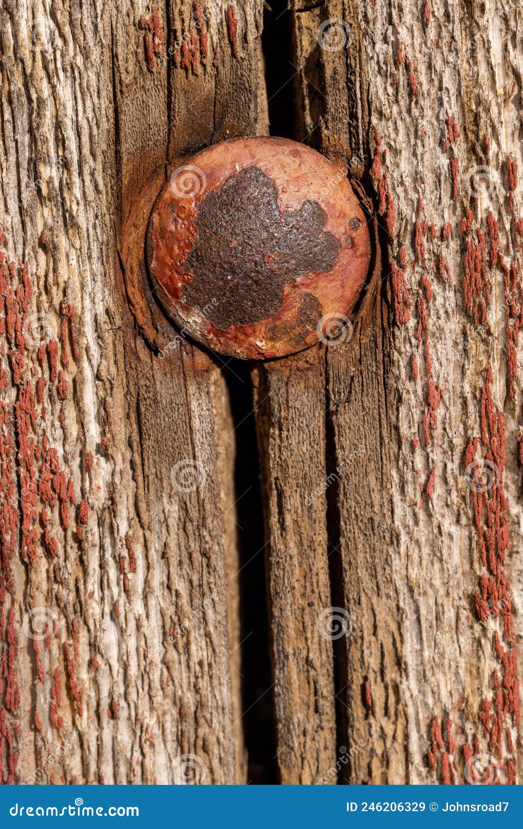 Old Cracked Painted Wood with Bolt Head Stock Image - Image of closeup ...