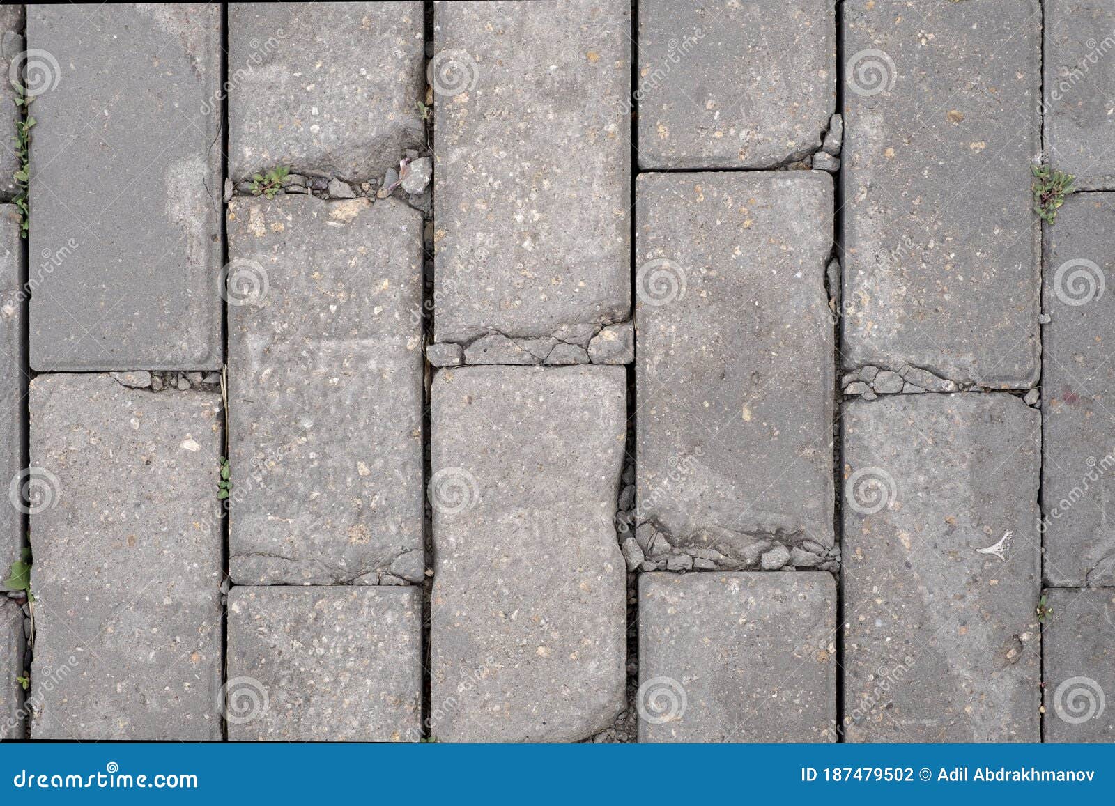 An Old Cracked Paving Slab. Stock Photo - Image of texture, white ...