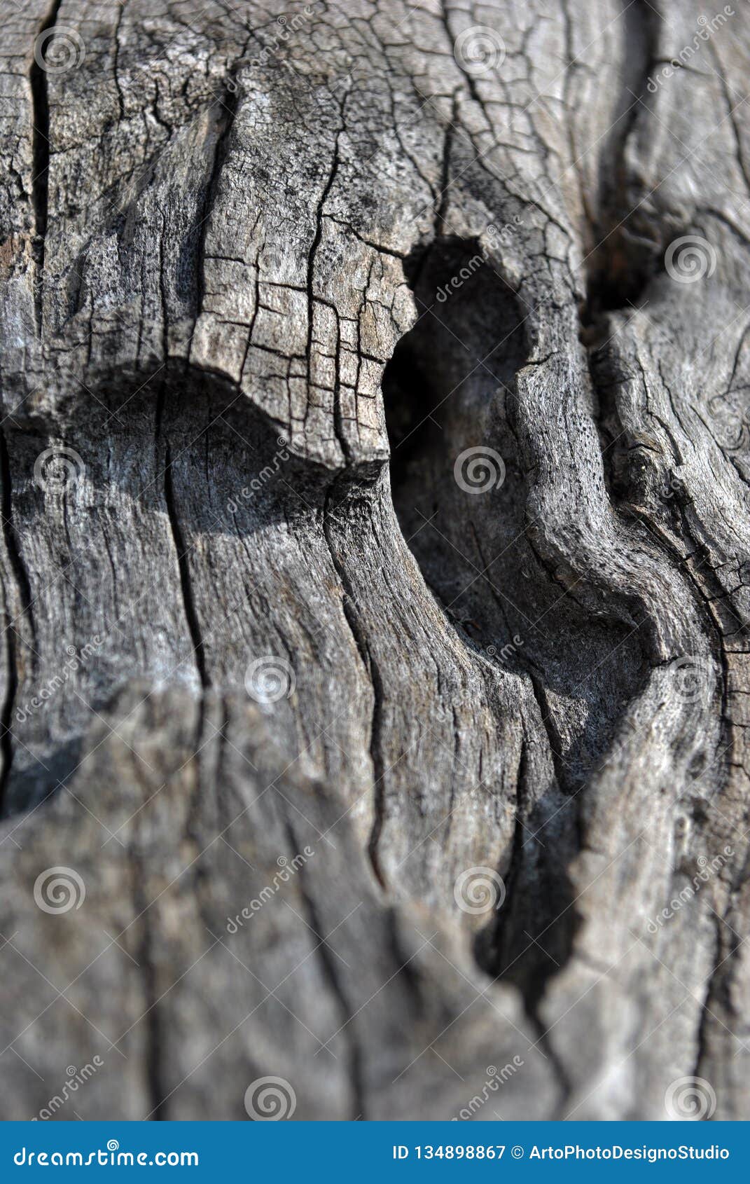 Old Cracked Tree Trunk with Waves Texture, Gray Blurry Background ...