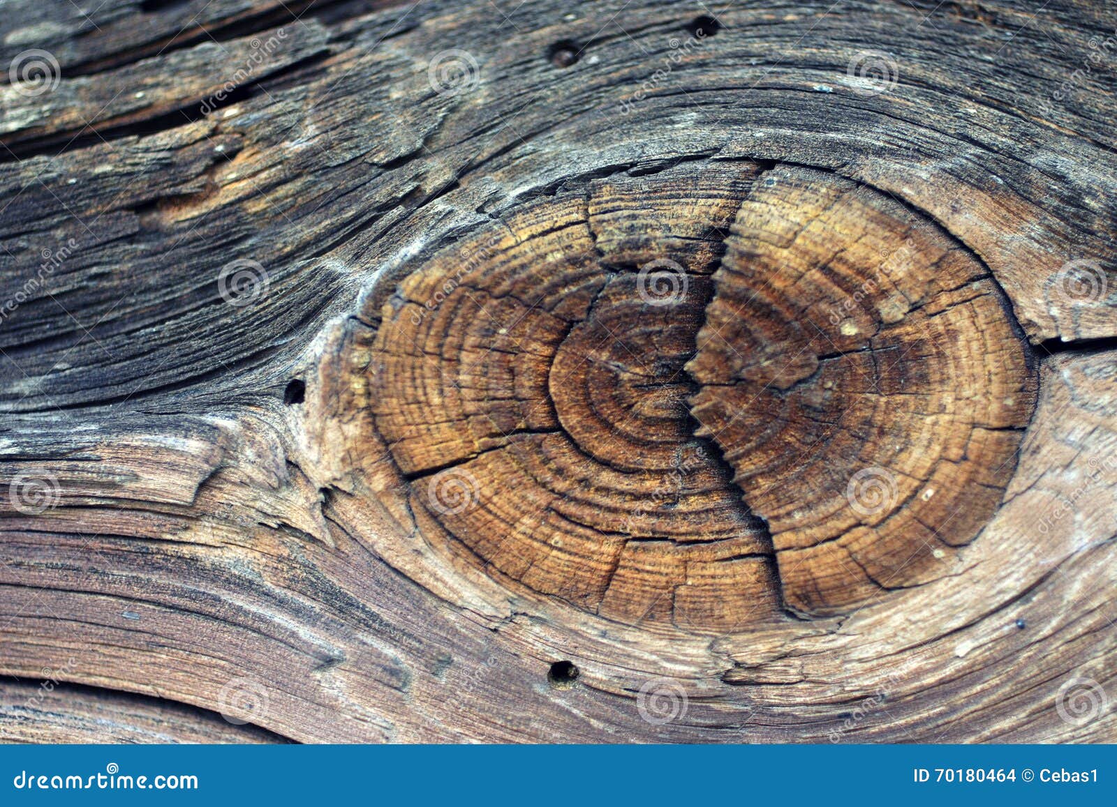 Cracked Wood Texture Stock Photography | CartoonDealer.com #27002720