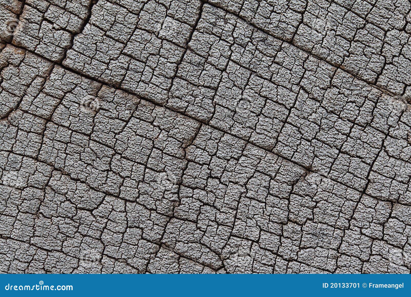 Old cracked wood texture stock image. Image of edge, circle - 20133701