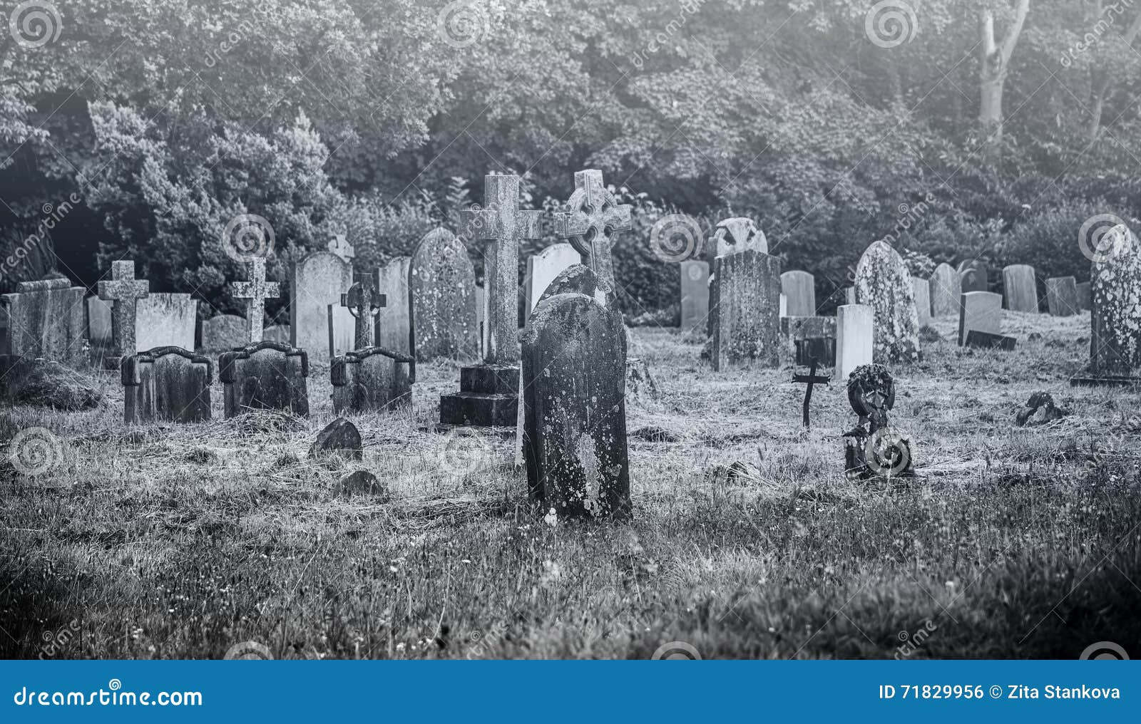 Old creepy cemetery stock photo. Image of crosses, black - 71829956